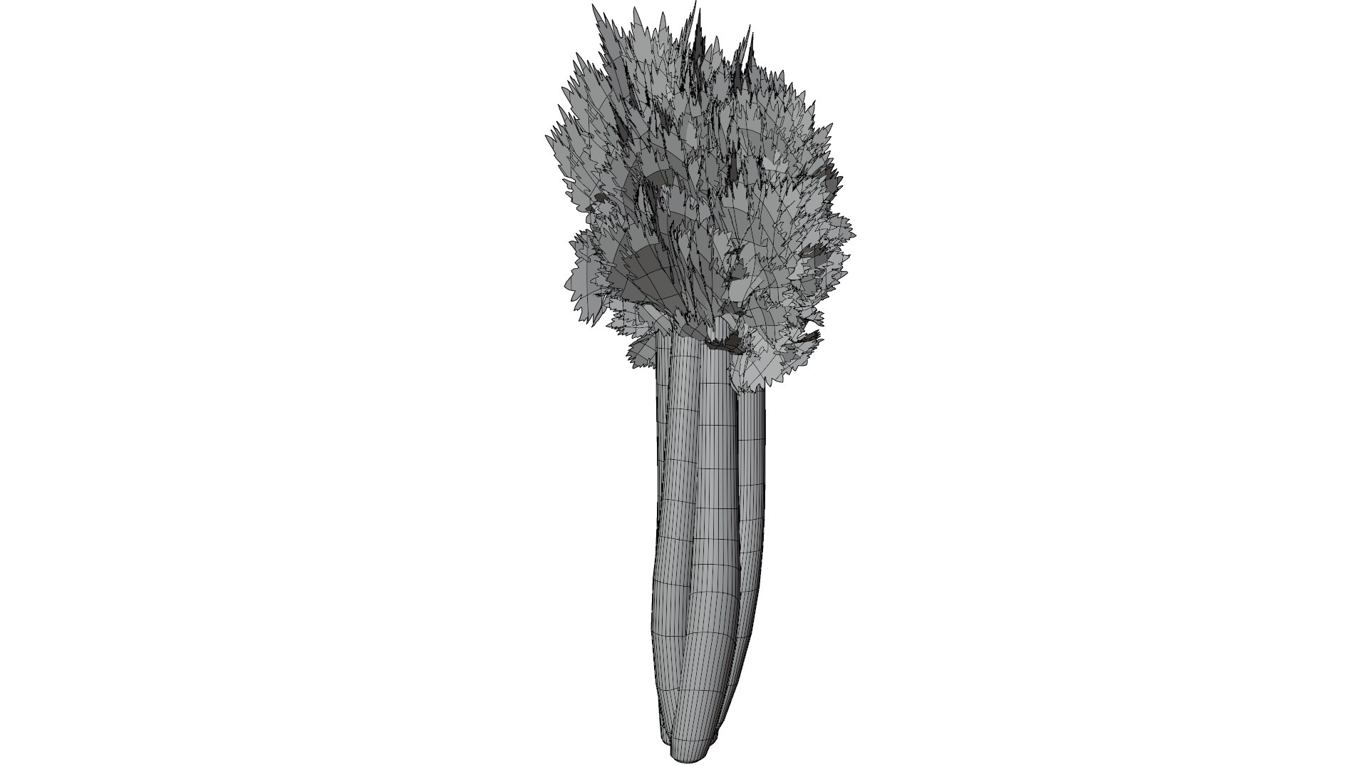 3D Celery - TurboSquid 2231200