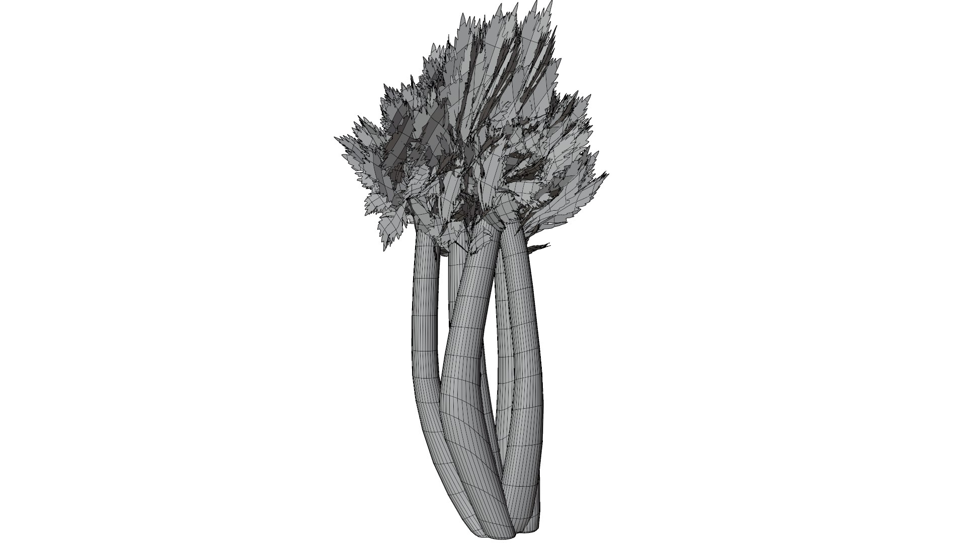 3D Celery - TurboSquid 2231200