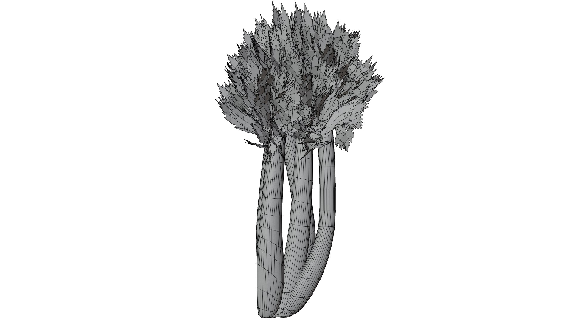 3D Celery - TurboSquid 2231200