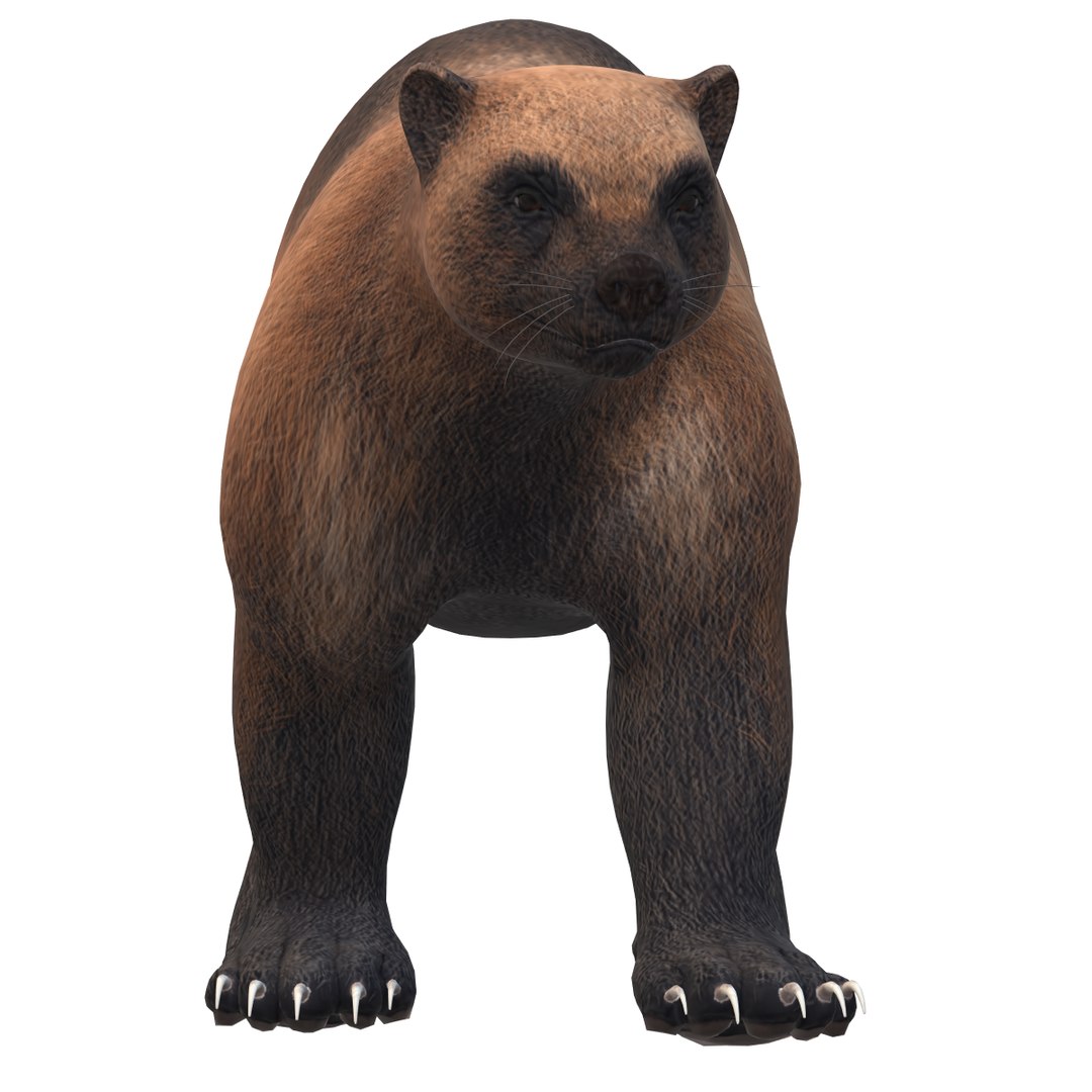 3D Model Wolverine - TurboSquid 2300767