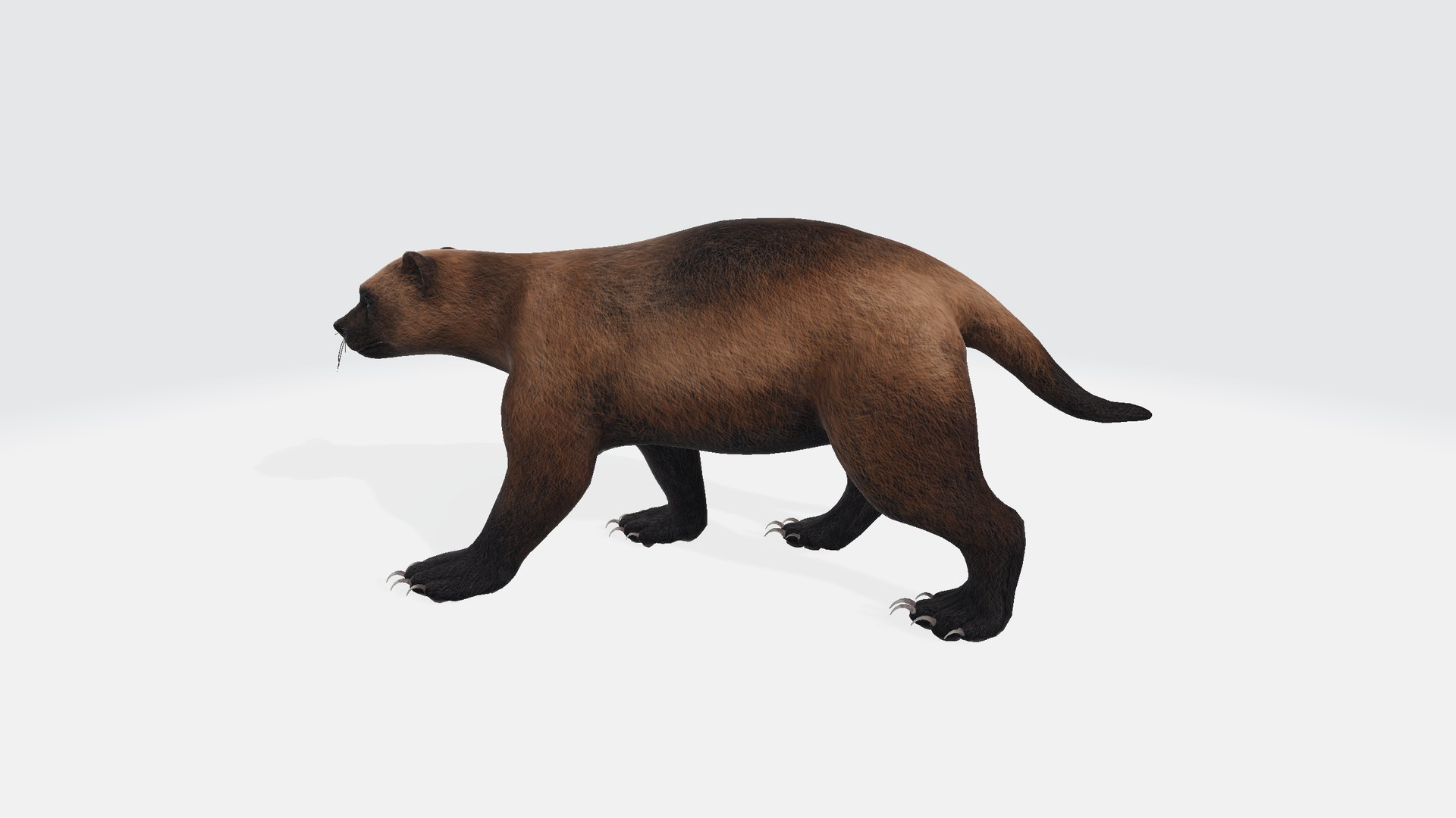 3D Model Wolverine - TurboSquid 2300767