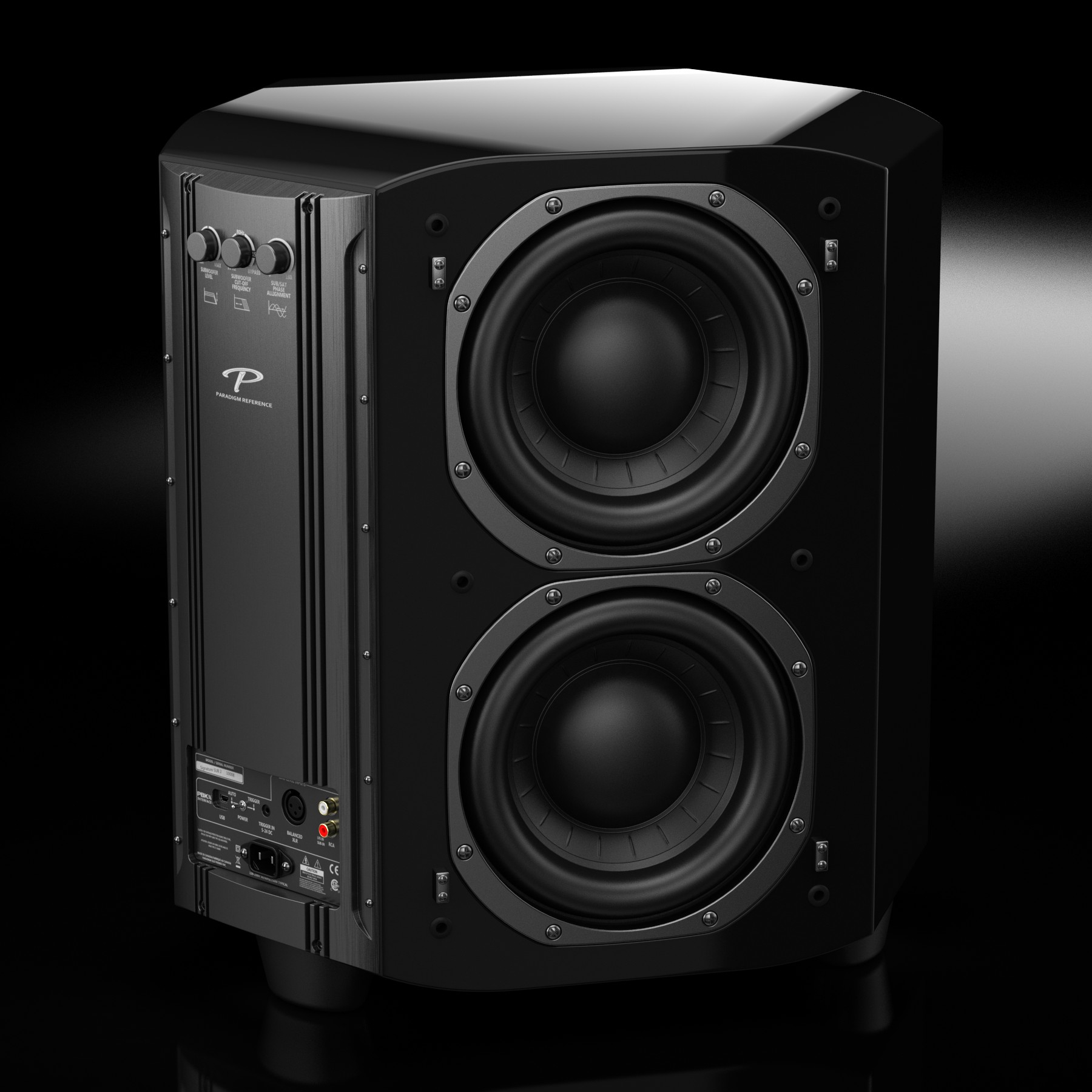 3d paradigm reference signature sub model