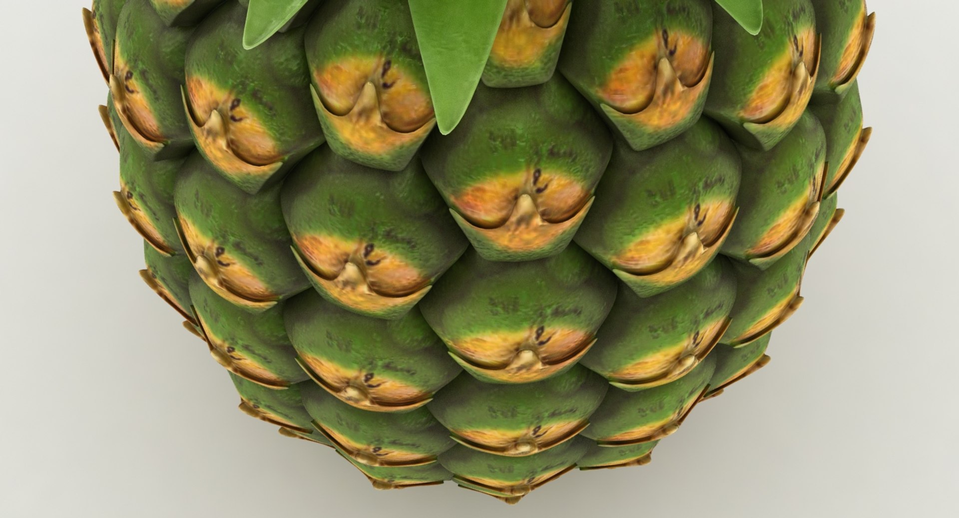 Realistic Pineapple Color 2 Model - TurboSquid 1262405