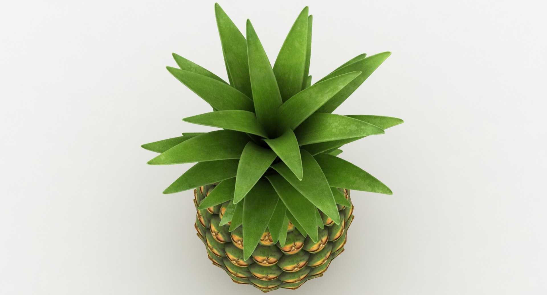 Realistic Pineapple Color 2 Model - TurboSquid 1262405