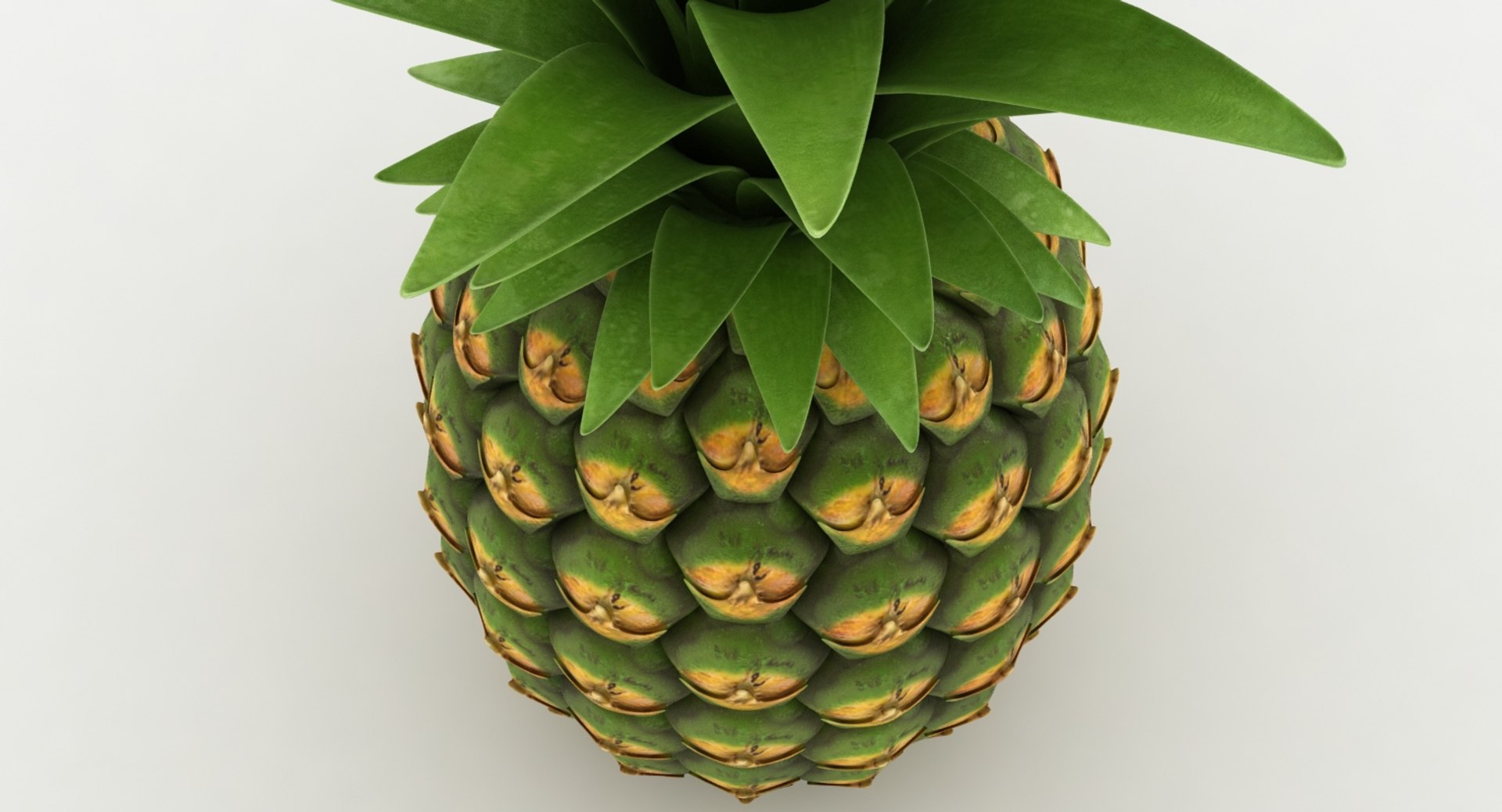 Realistic Pineapple Color 2 Model - TurboSquid 1262405