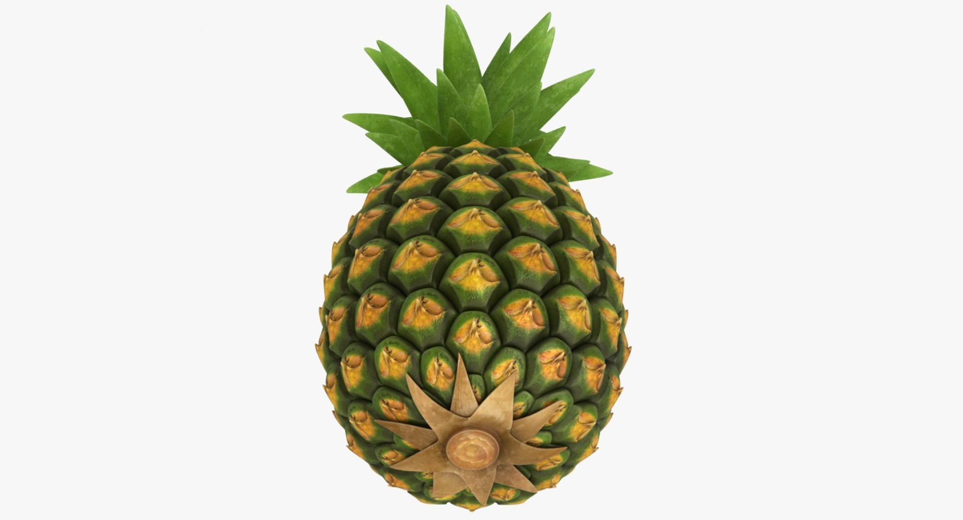 Realistic Pineapple Color 2 Model - TurboSquid 1262405
