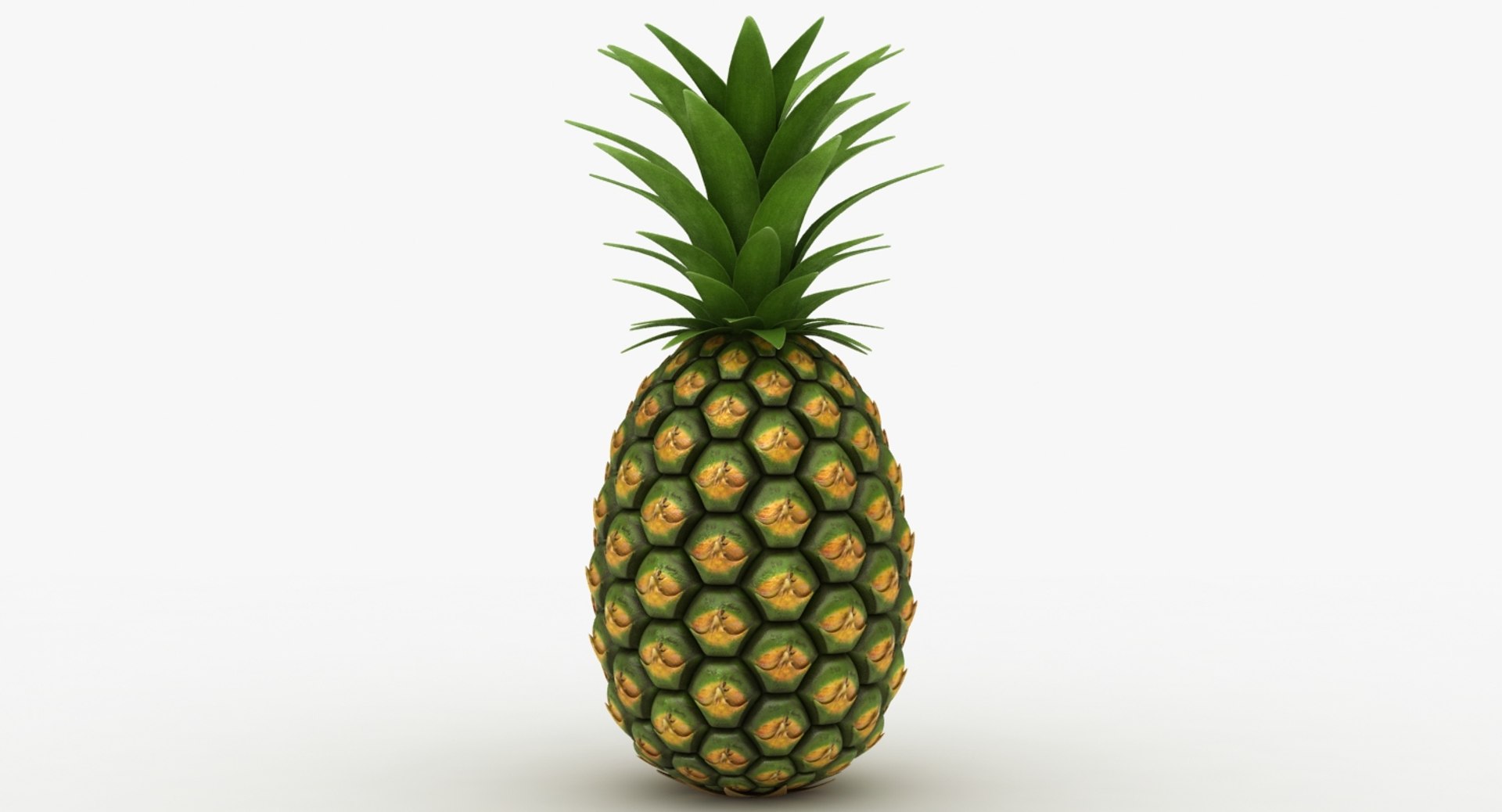 Realistic Pineapple Color 2 Model - TurboSquid 1262405