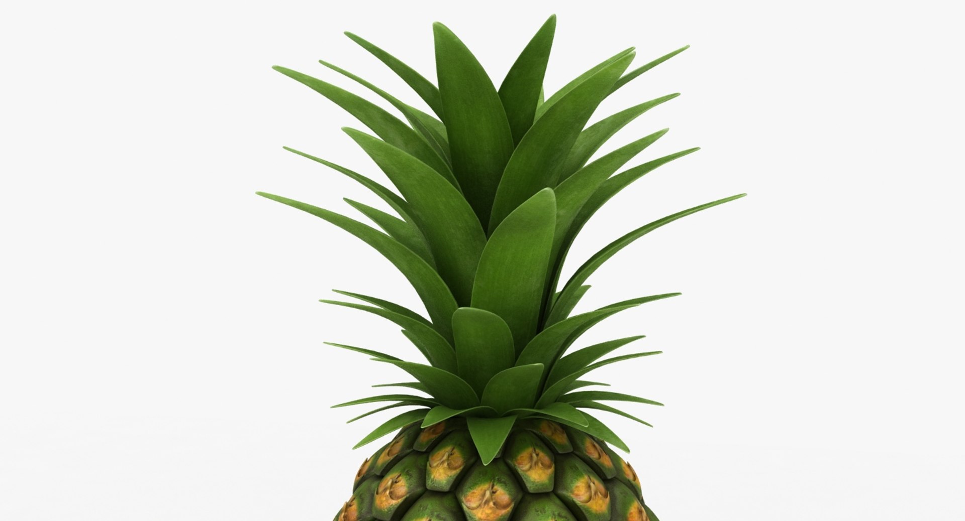 Realistic Pineapple Color 2 Model - TurboSquid 1262405