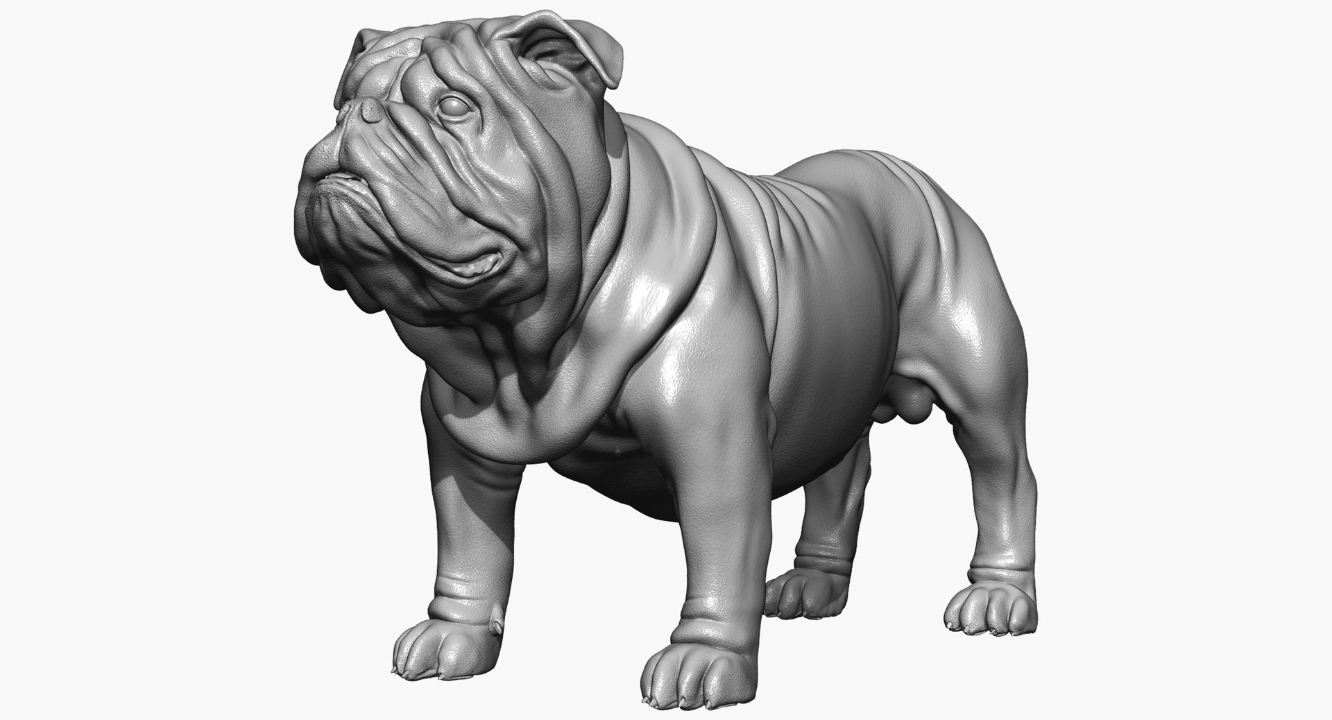 Dog Bulldog 3D Model - TurboSquid 1374311