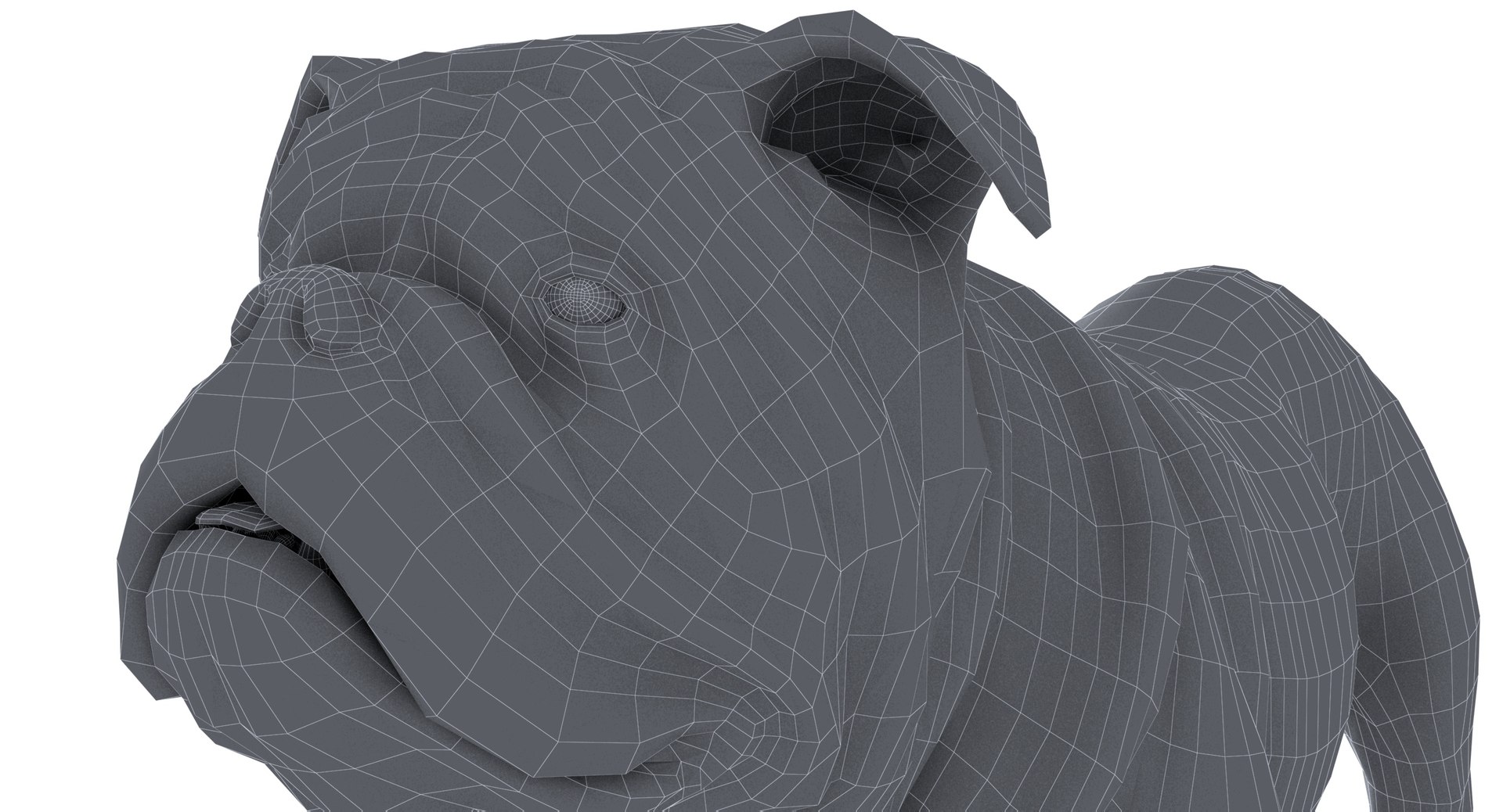Dog Bulldog 3D Model - TurboSquid 1374311