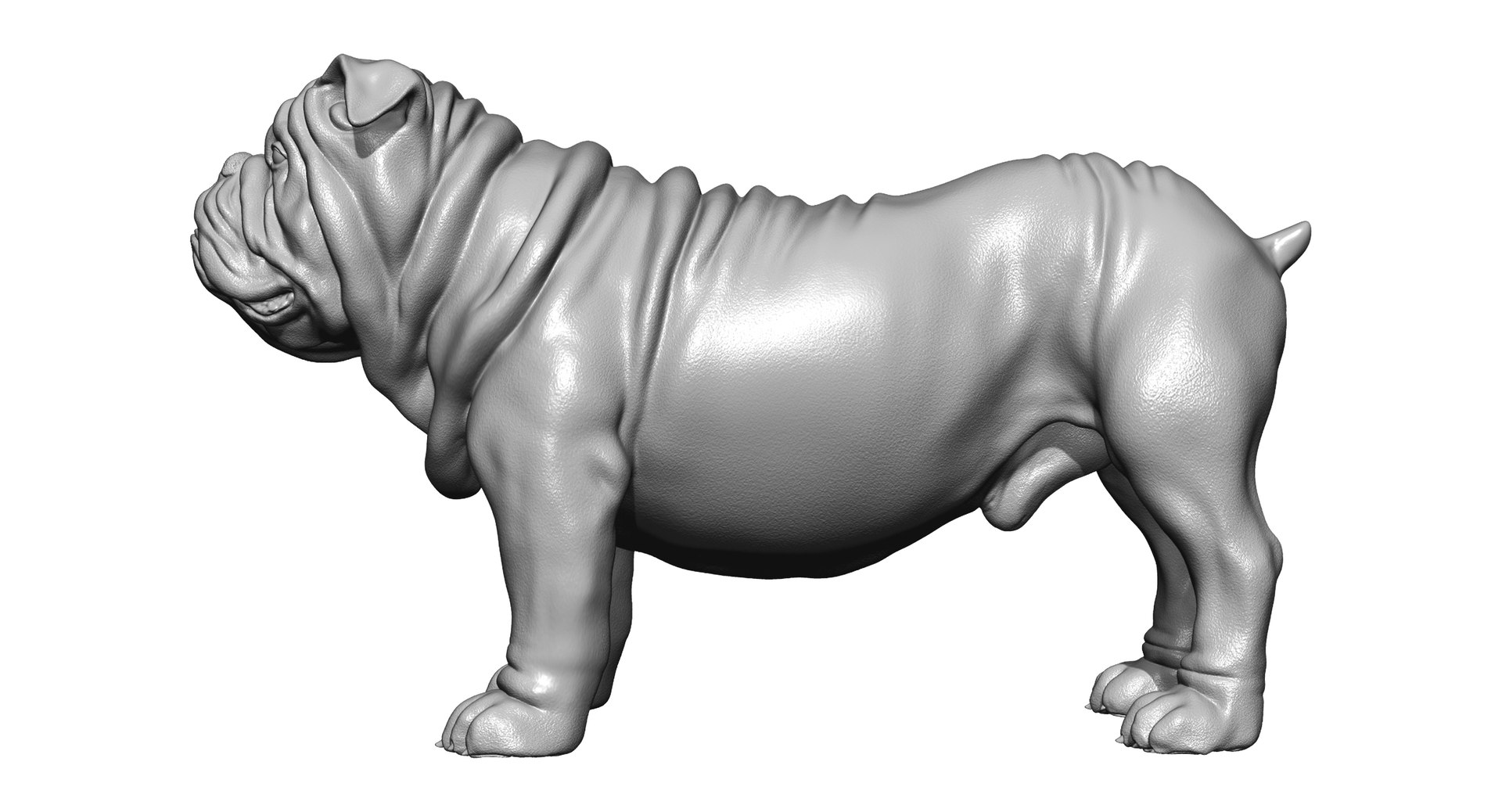 Dog Bulldog 3D Model - TurboSquid 1374311