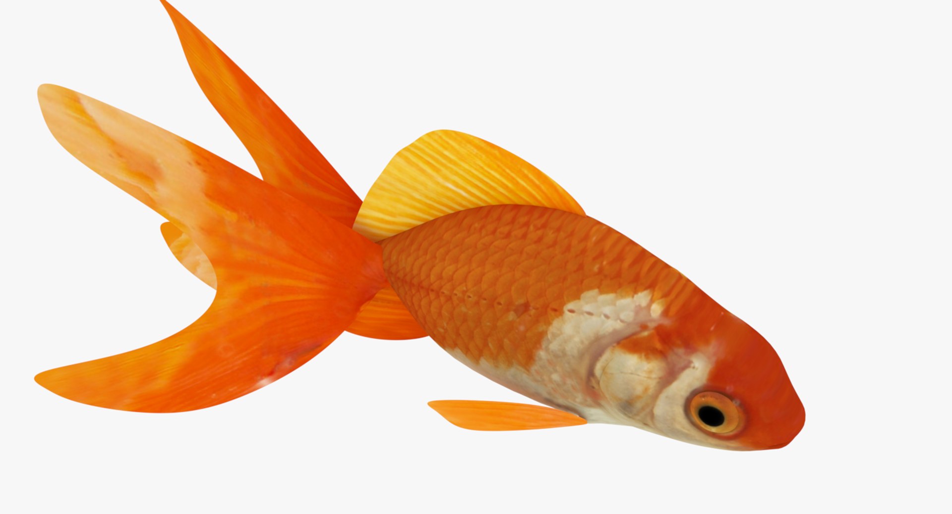 Animation Rig 3D Model - TurboSquid 1382857