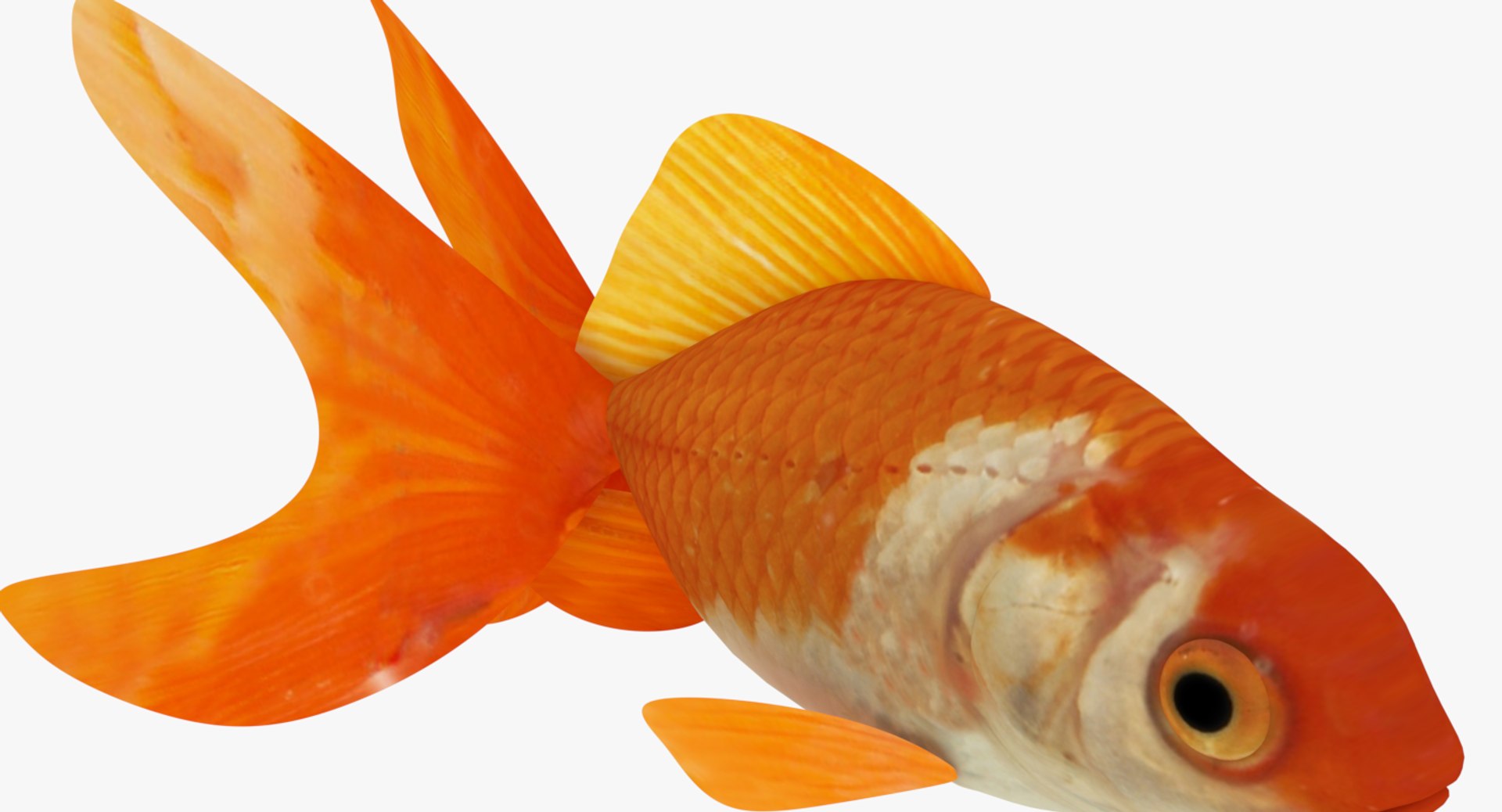 Animation Rig 3D Model - TurboSquid 1382857