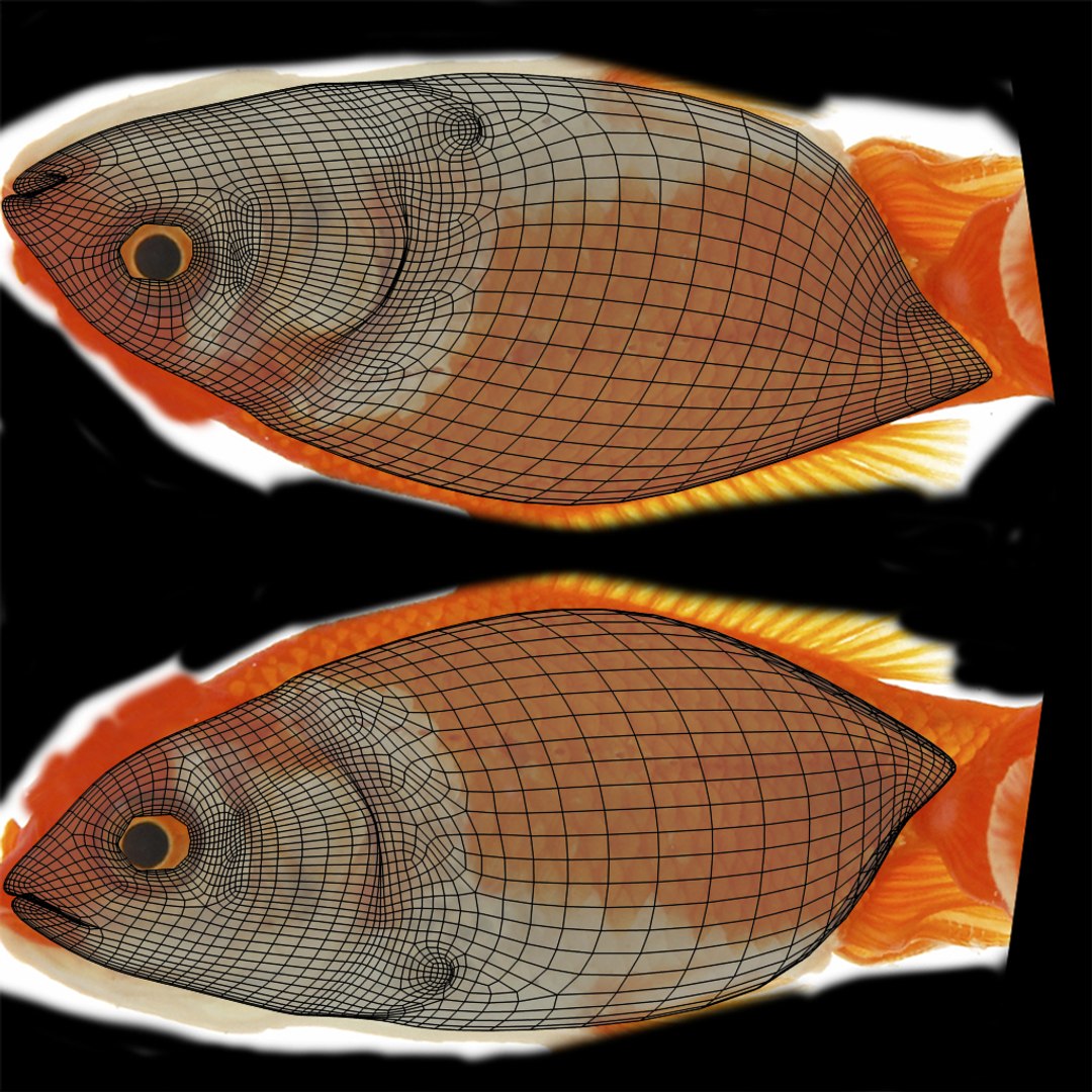 Animation Rig 3D Model - TurboSquid 1382857