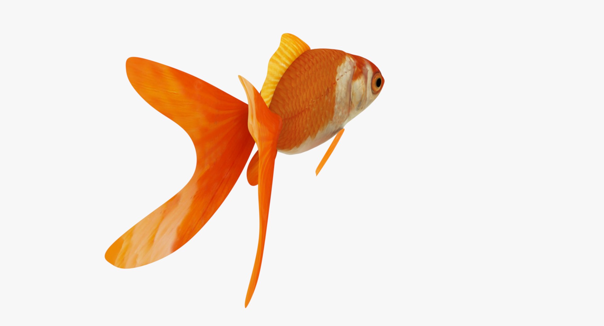 Animation Rig 3D Model - TurboSquid 1382857