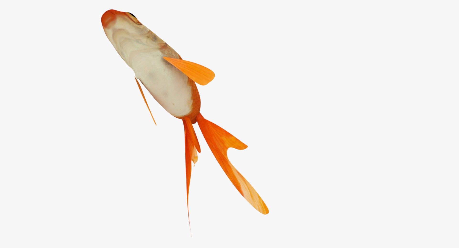 Animation Rig 3D Model - TurboSquid 1382857