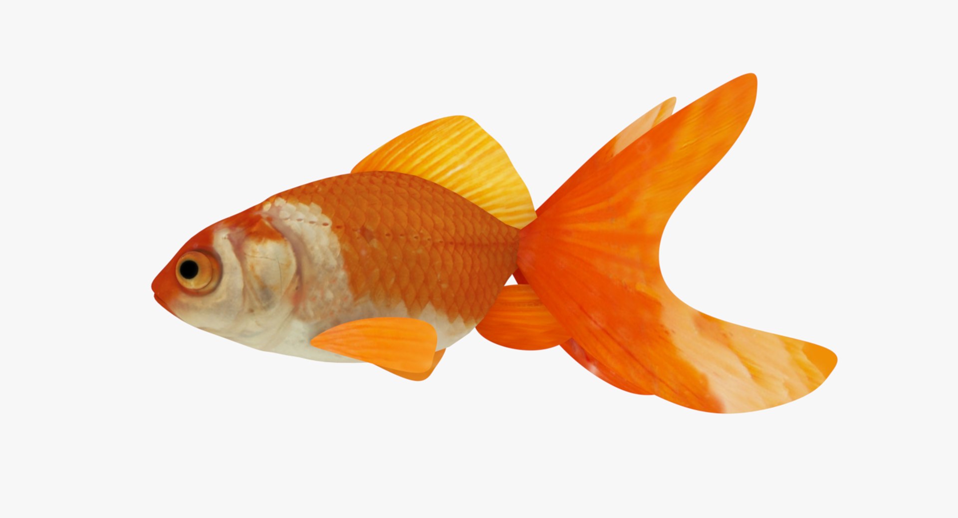 Animation Rig 3D Model - TurboSquid 1382857