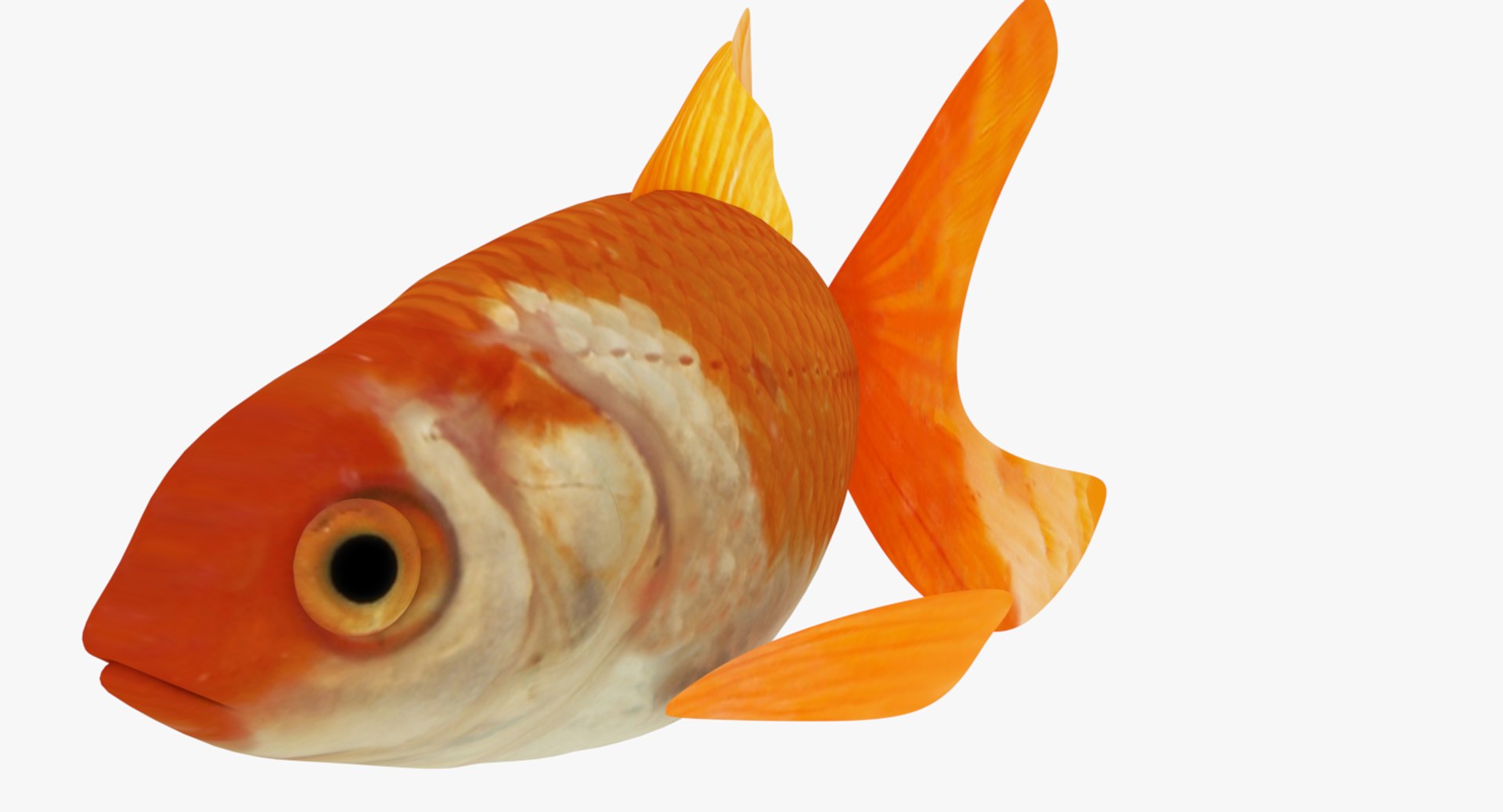 Animation Rig 3D Model - TurboSquid 1382857