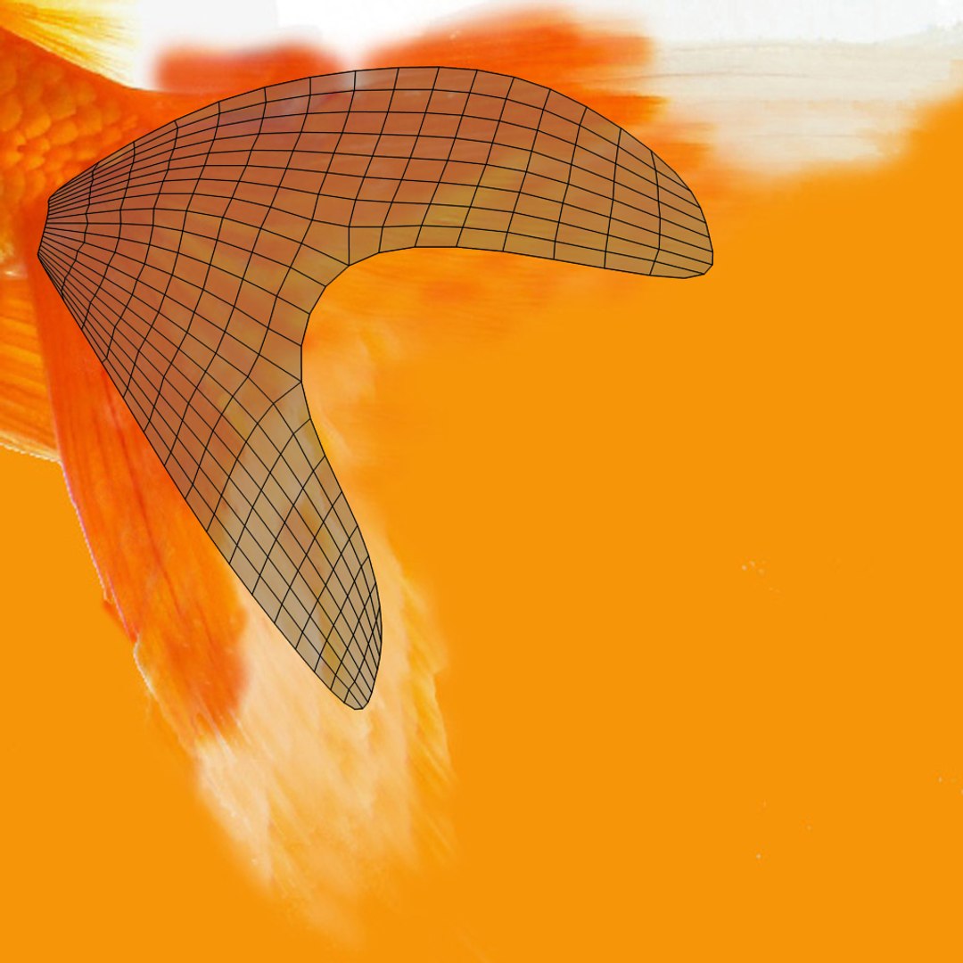 Animation Rig 3D Model - TurboSquid 1382857