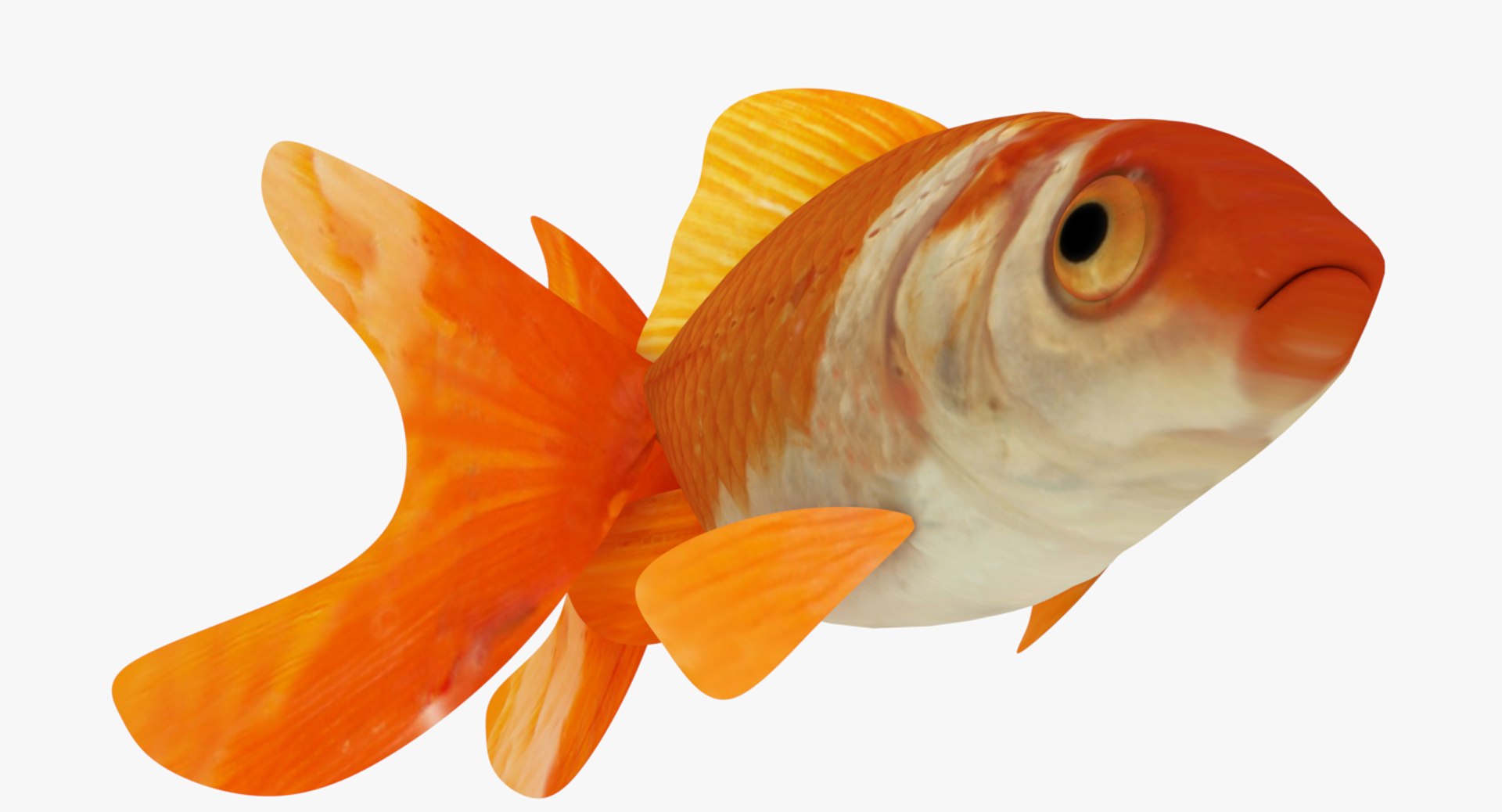 Animation Rig 3D Model - TurboSquid 1382857