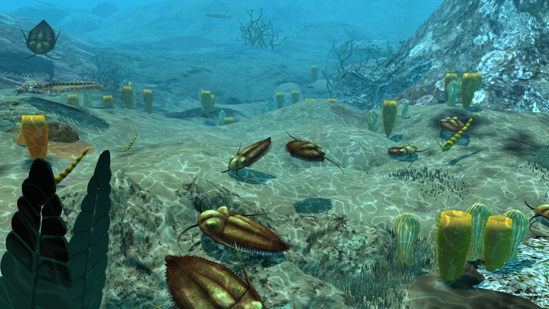 Seabed Model - TurboSquid 1850520