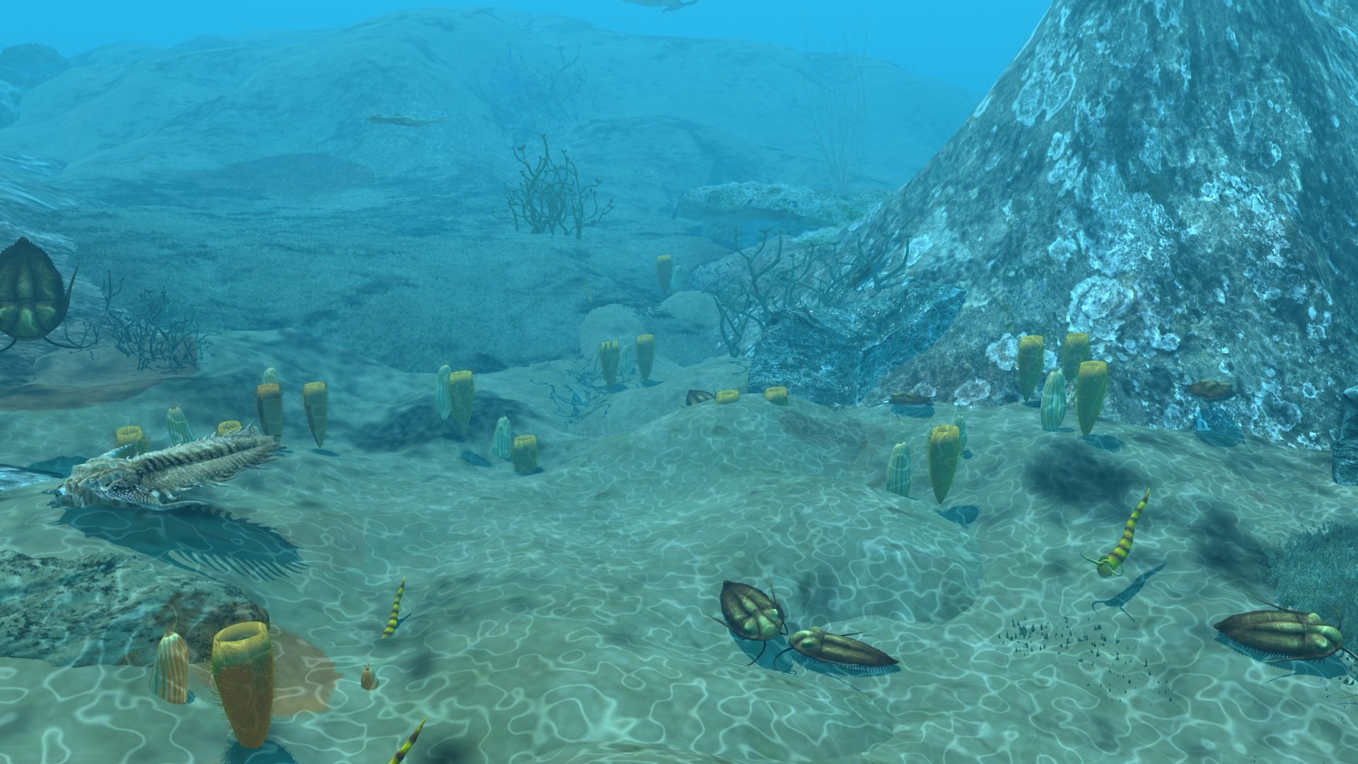 Seabed Model - TurboSquid 1850520