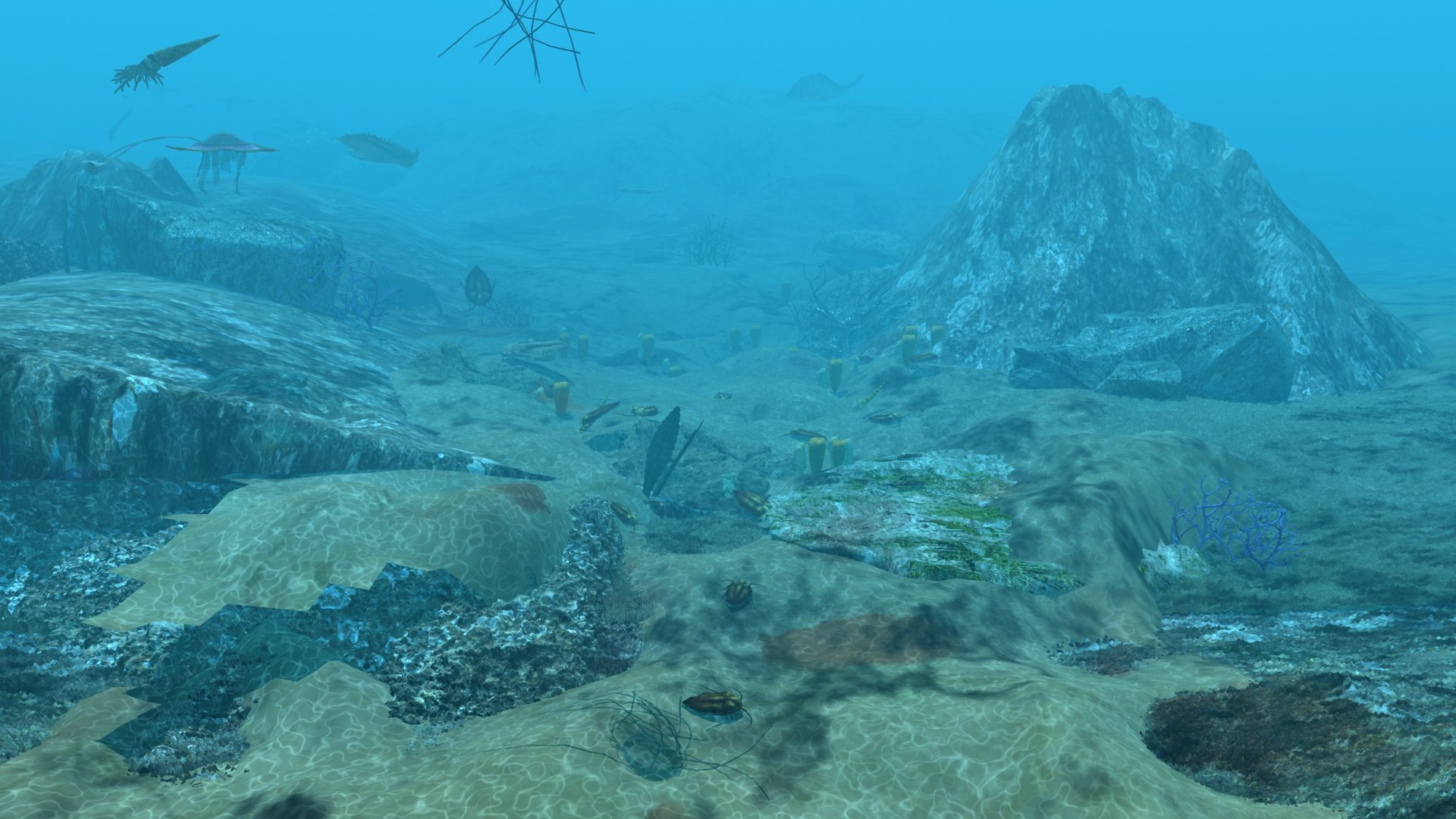 Seabed Model - TurboSquid 1850520