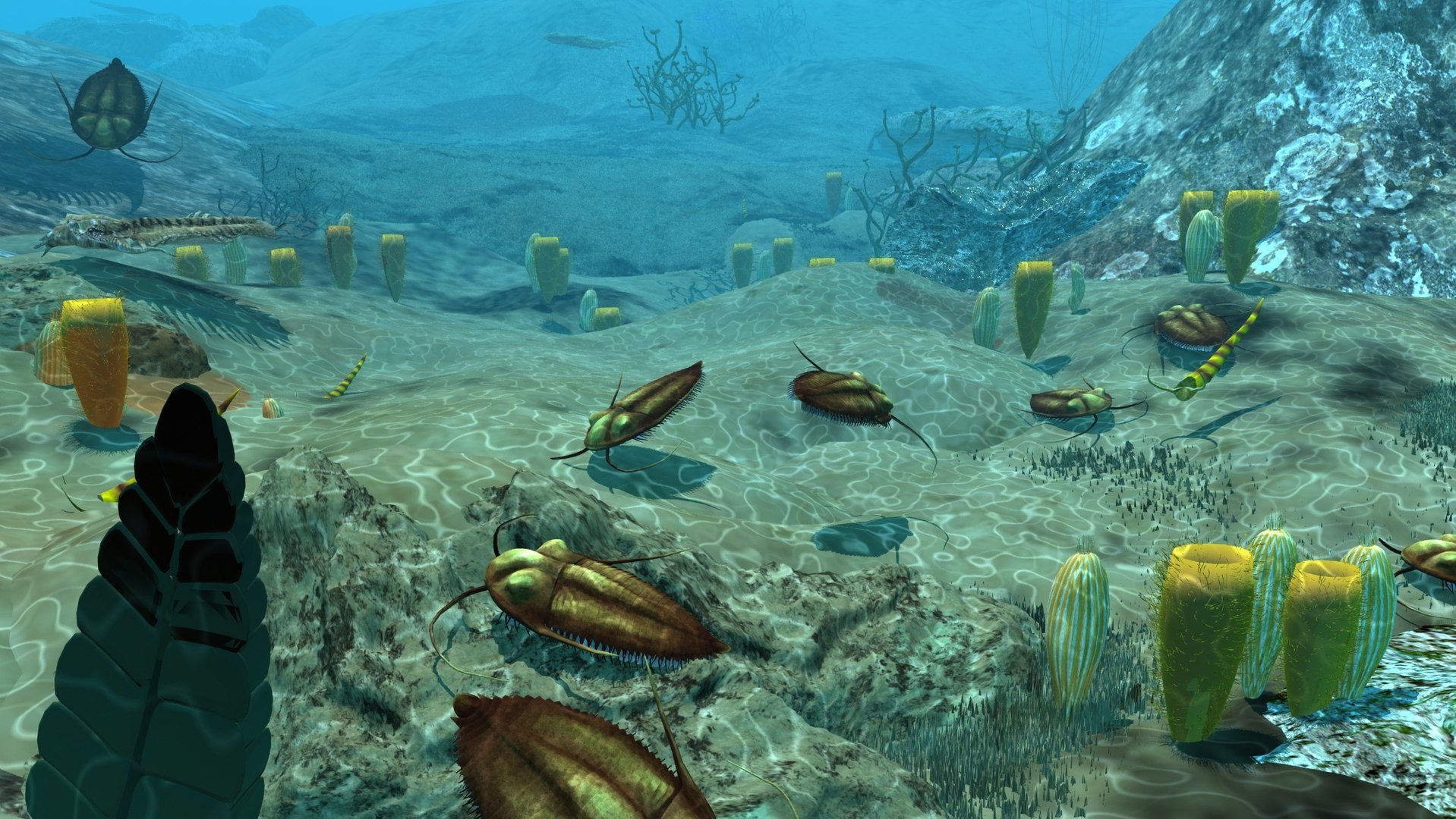 Seabed Model - TurboSquid 1850520