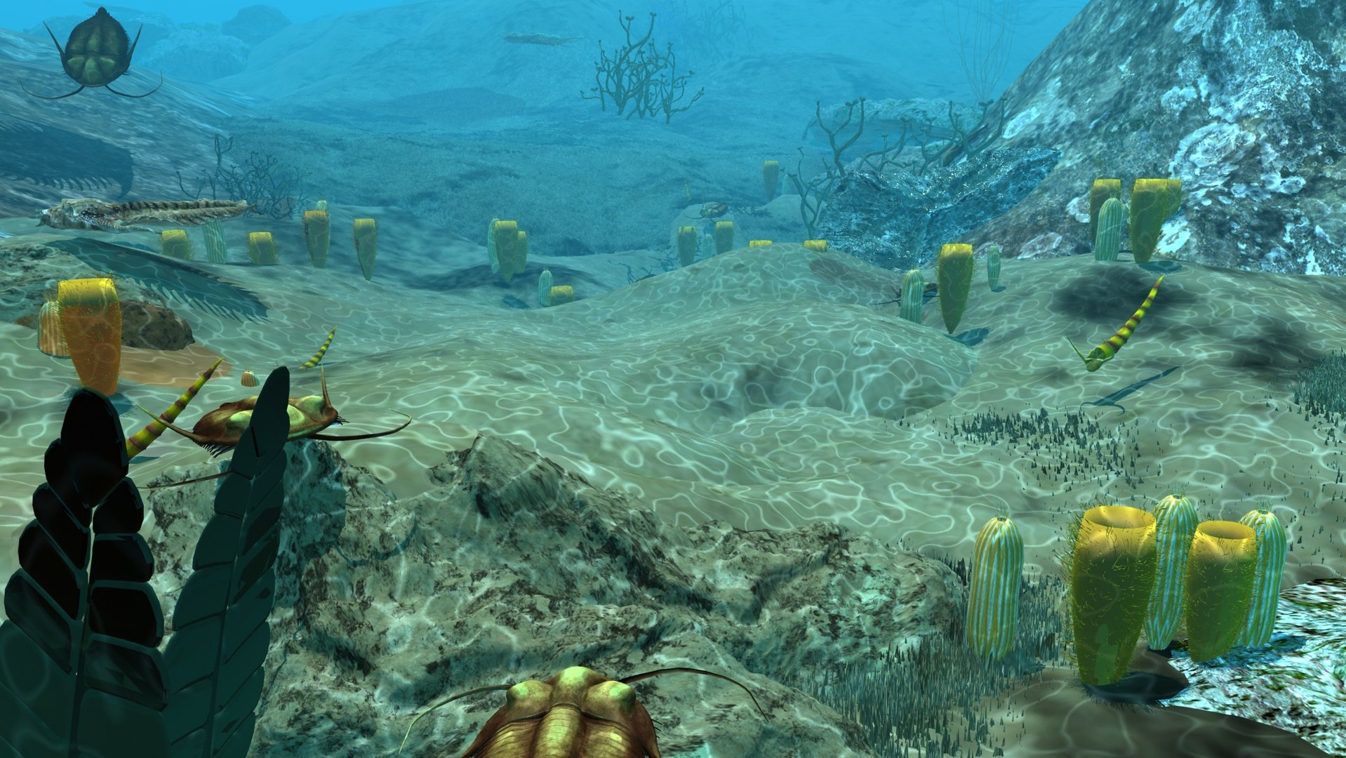 Seabed Model - TurboSquid 1850520