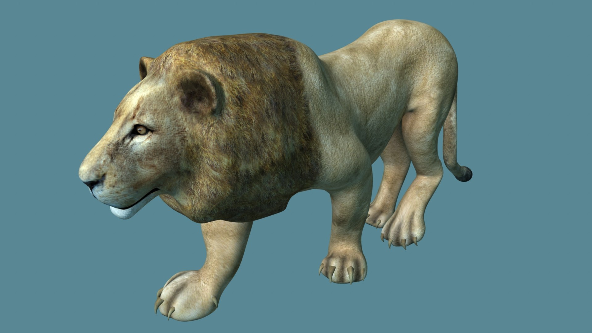 3D Lion - TurboSquid 2211164