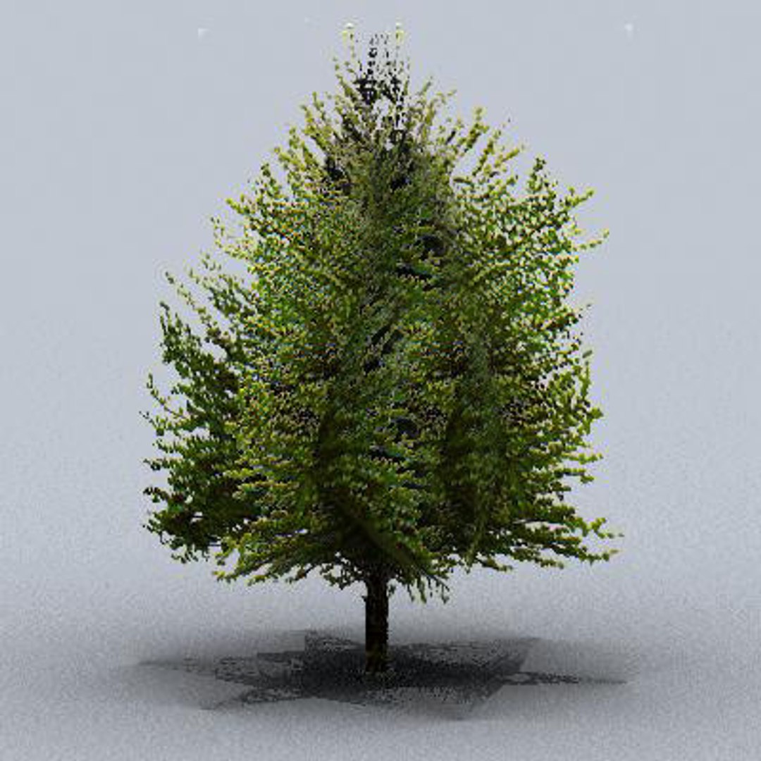 Tree 3d Model