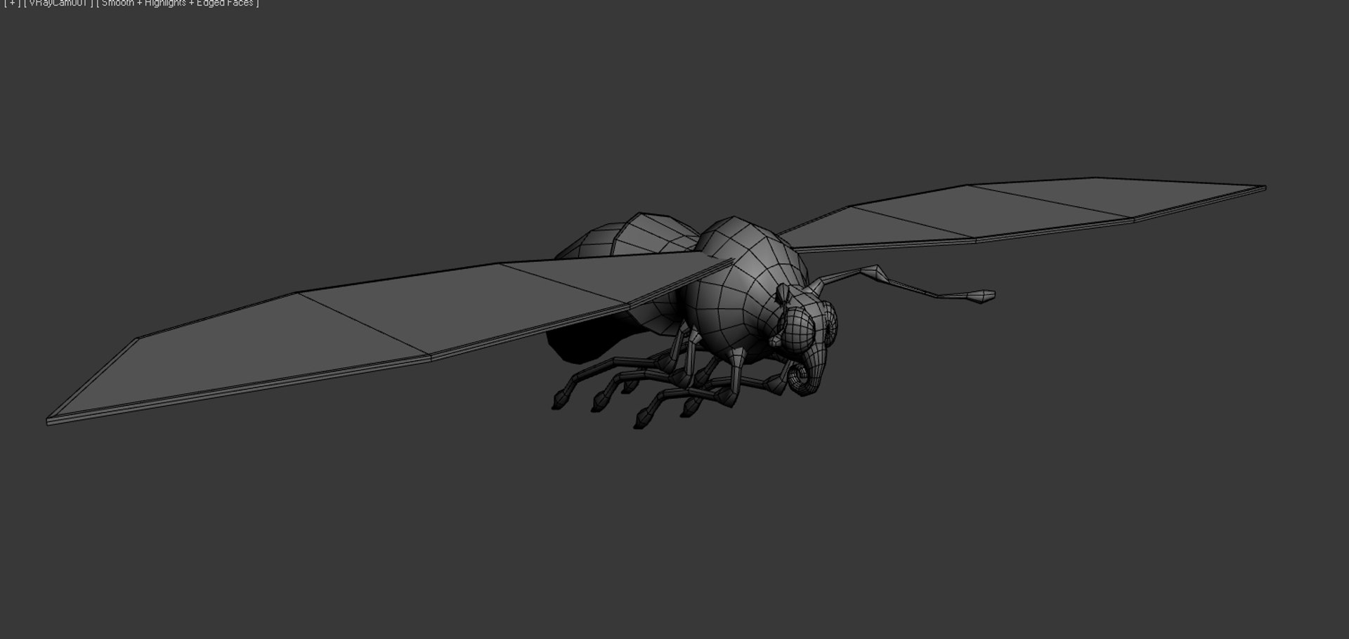 moth - bone rig 3d max