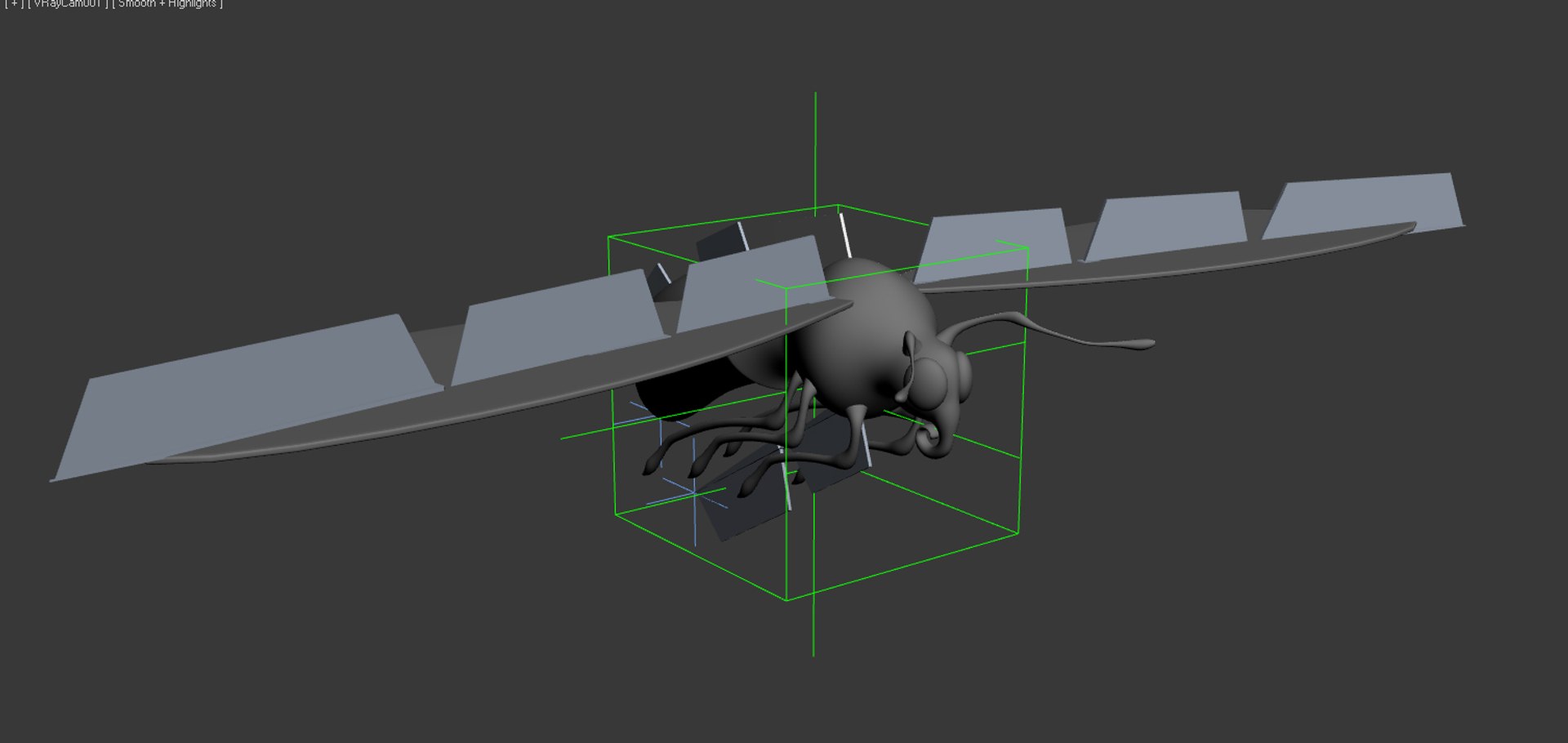 moth - bone rig 3d max