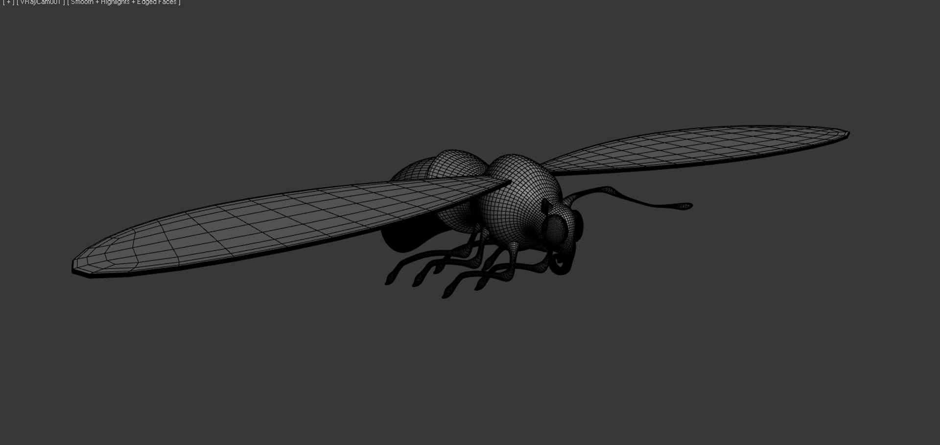 moth - bone rig 3d max