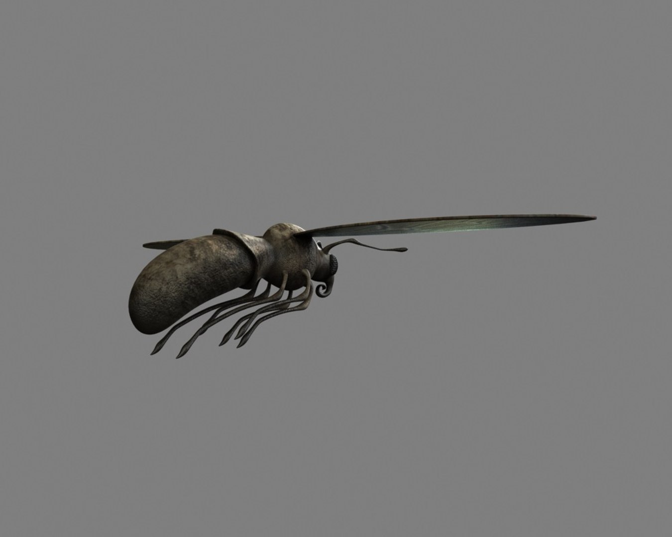 moth - bone rig 3d max