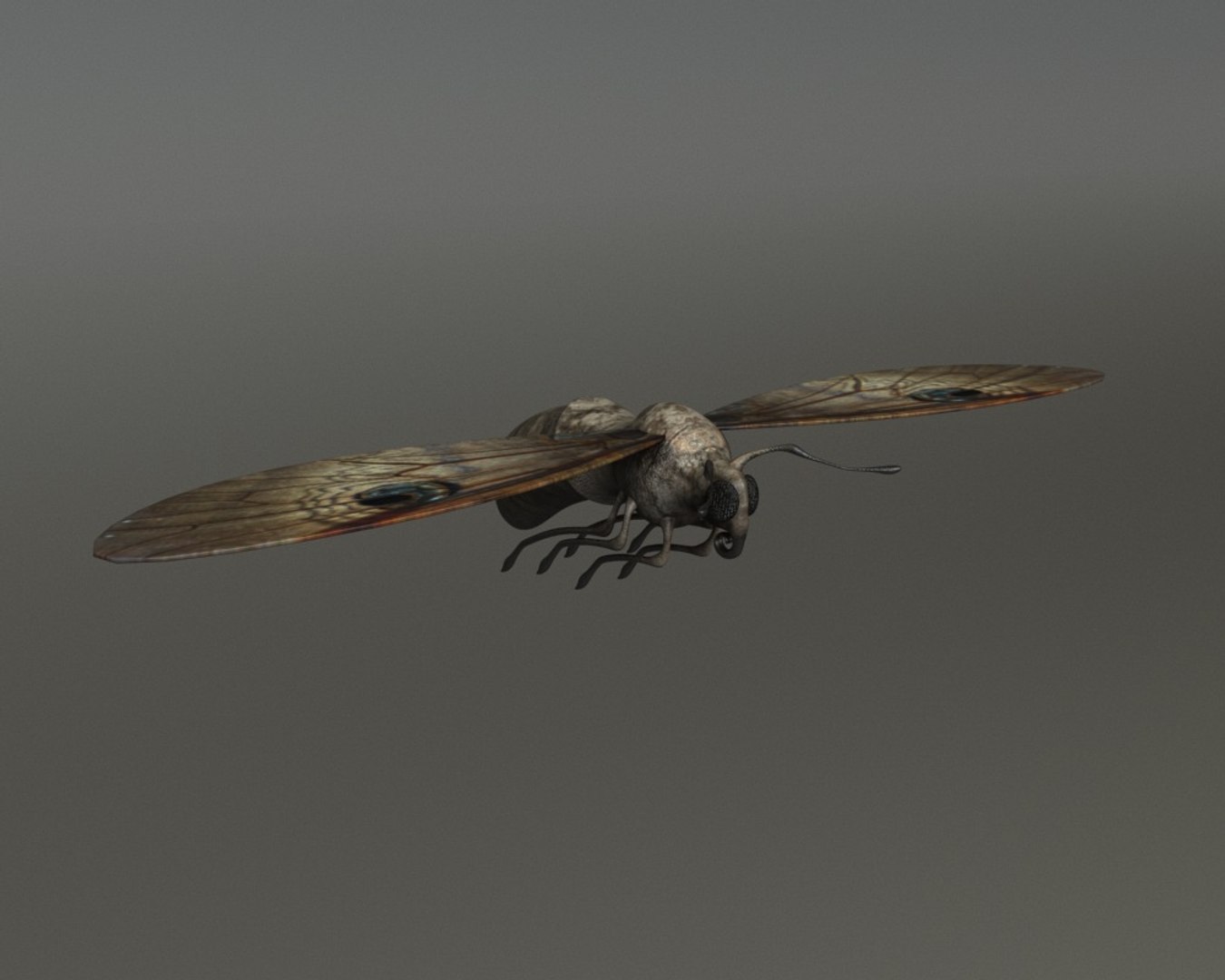 moth - bone rig 3d max