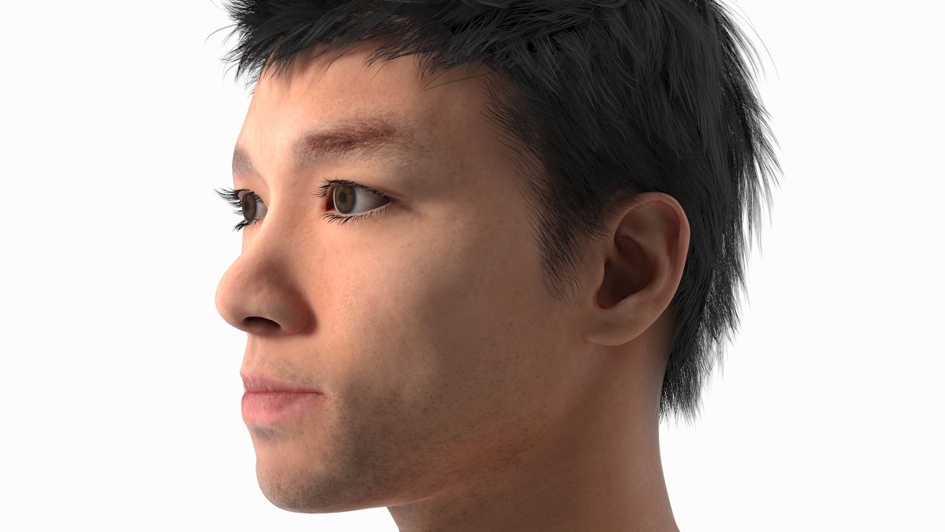 3D Head Of Asian Male - TurboSquid 2296432