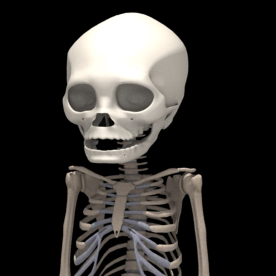 skeleton transformation 3d max