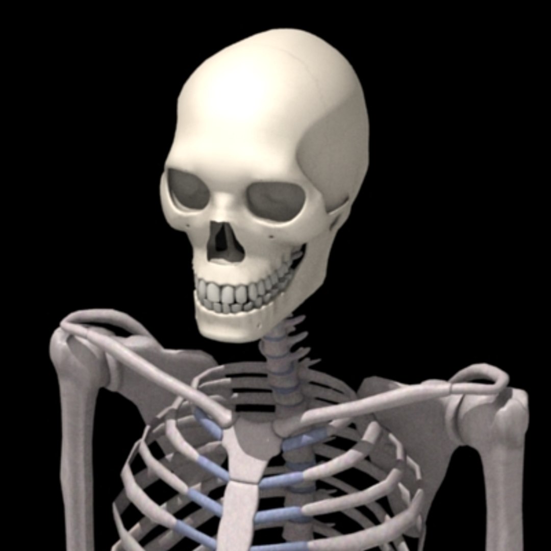 skeleton transformation 3d max