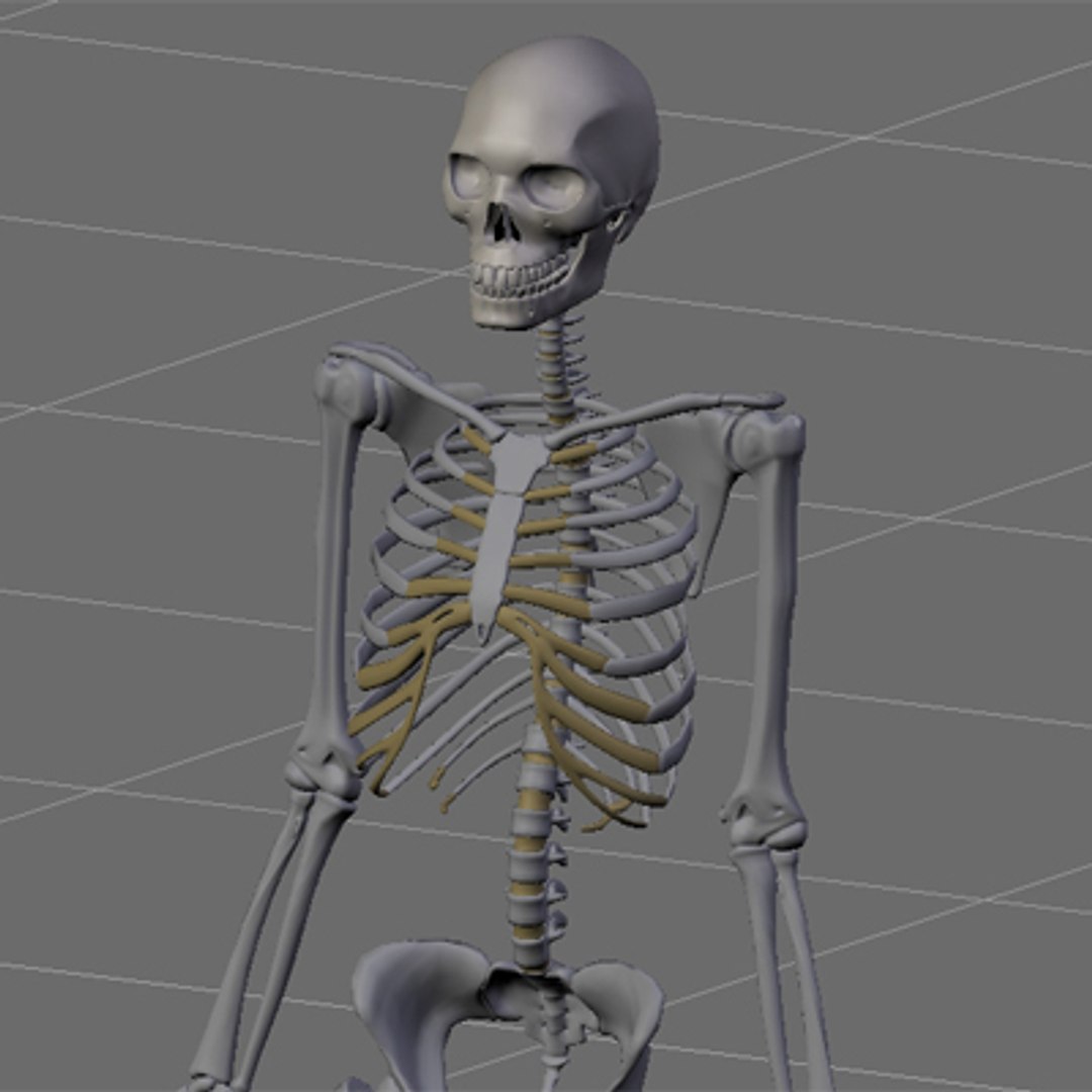 skeleton transformation 3d max
