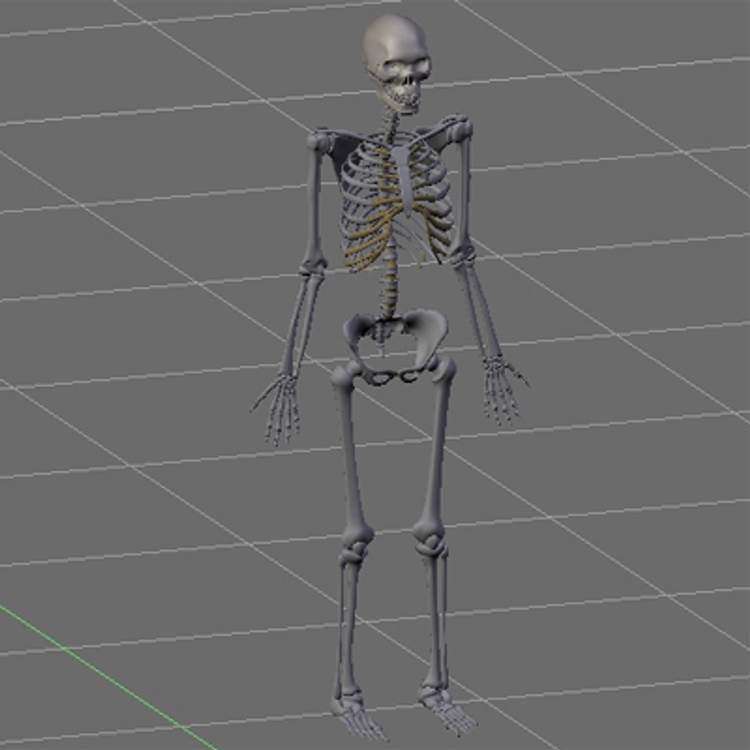 skeleton transformation 3d max