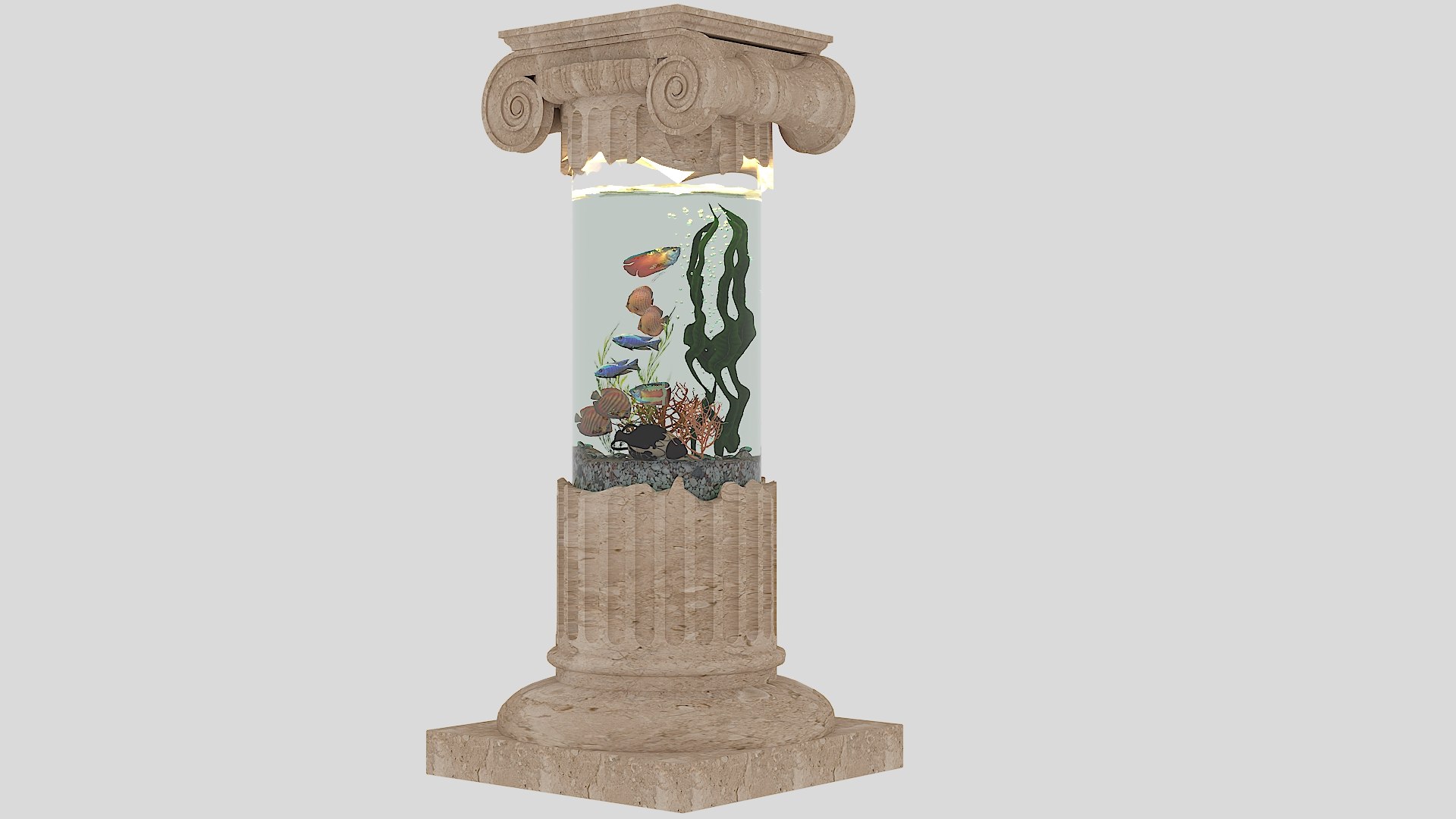 Aquarium Fish Column 3D Model - TurboSquid 2252417