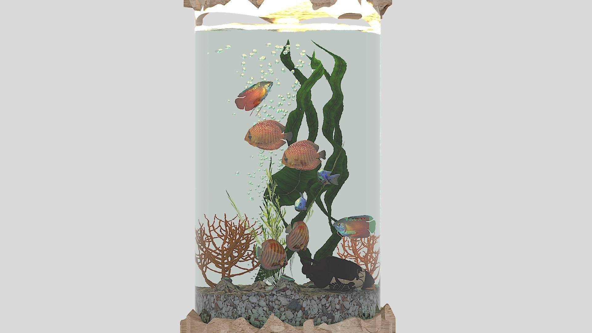 Aquarium Fish Column 3D Model - TurboSquid 2252417