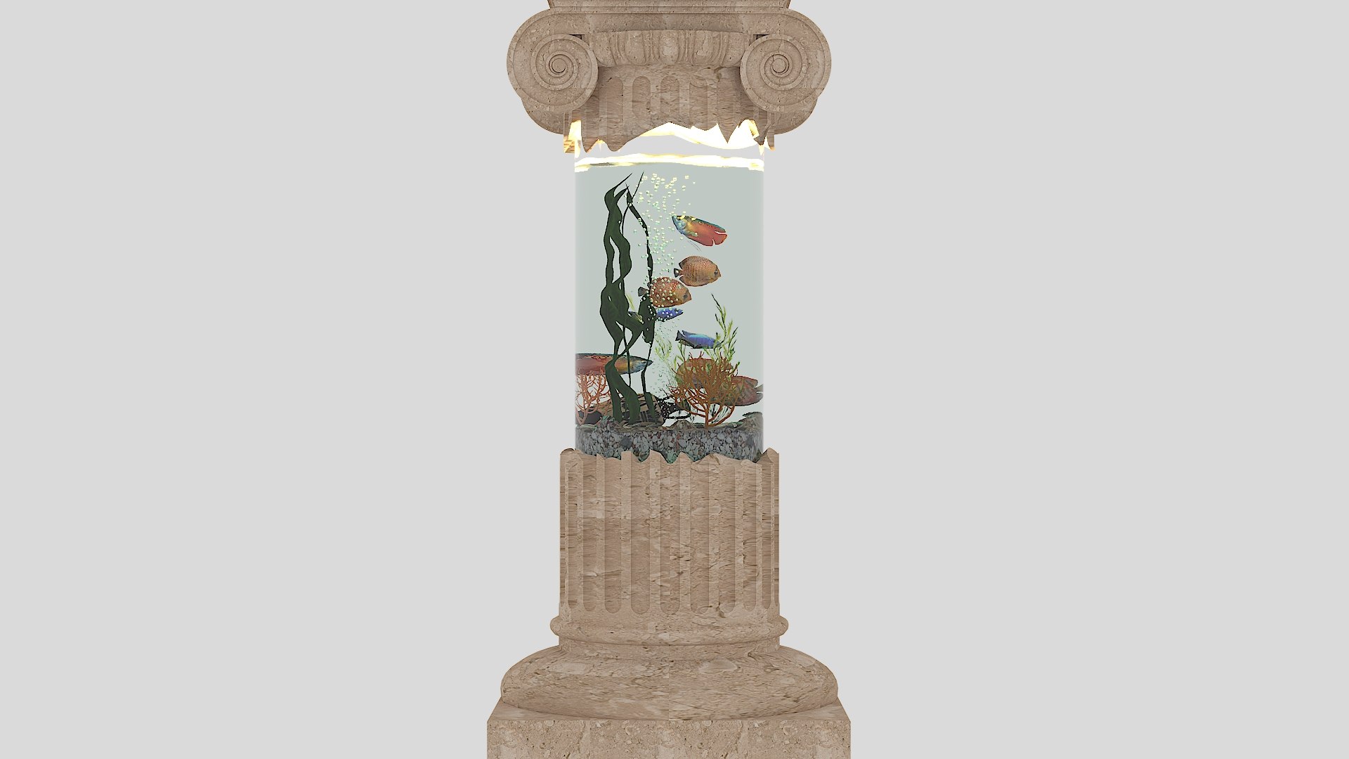 Aquarium Fish Column 3D Model - TurboSquid 2252417