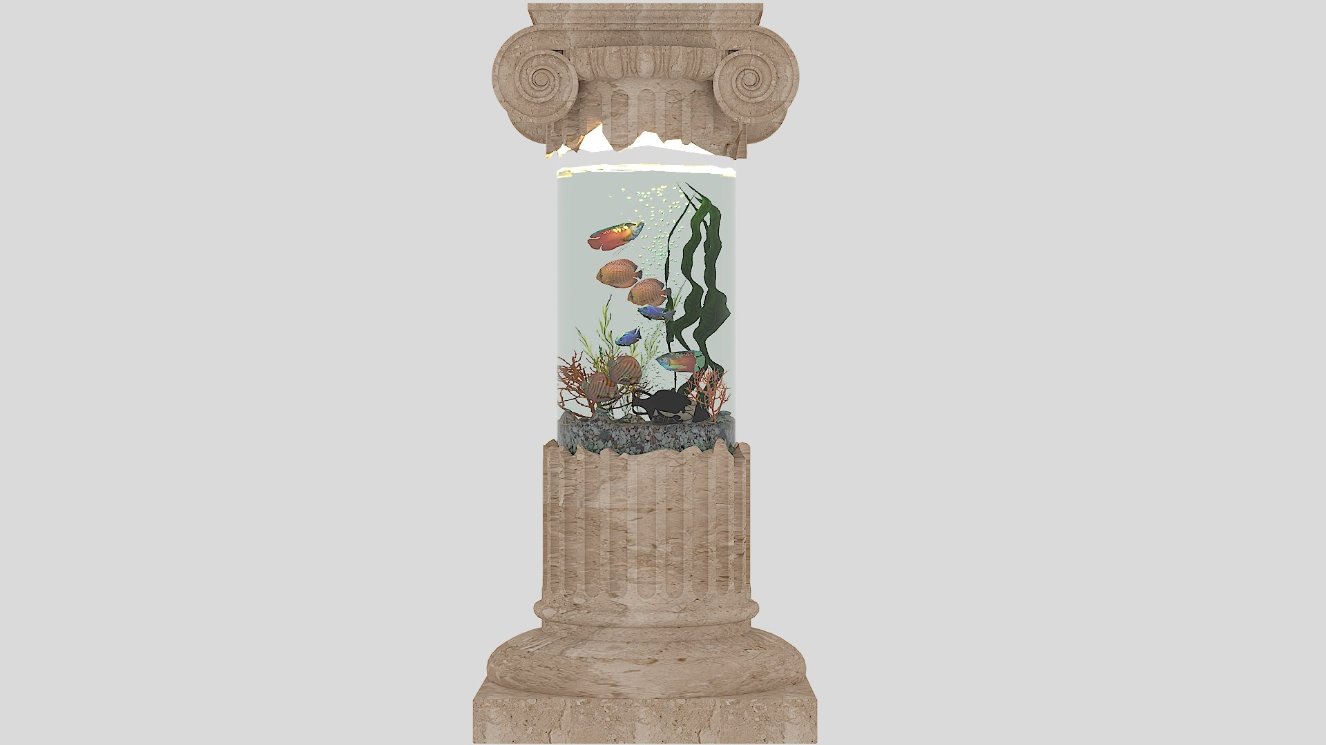 Aquarium Fish Column 3D Model - TurboSquid 2252417