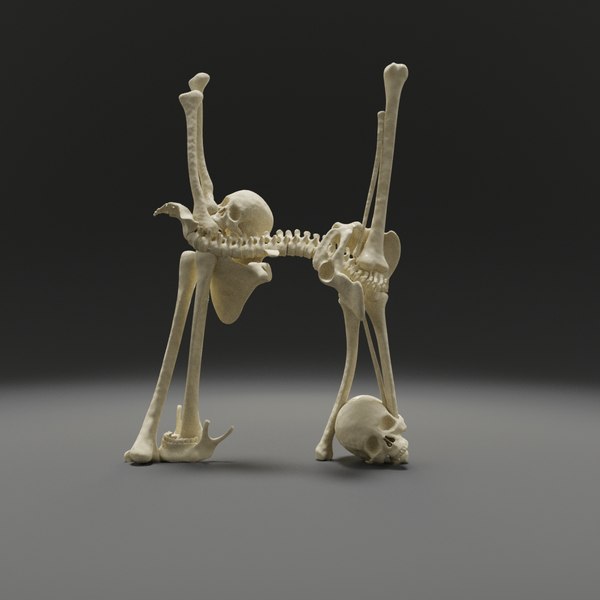 Free Blender Bone Models | TurboSquid
