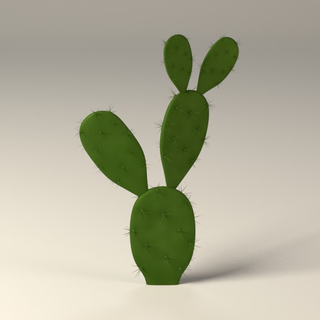 Cactus 3d Model