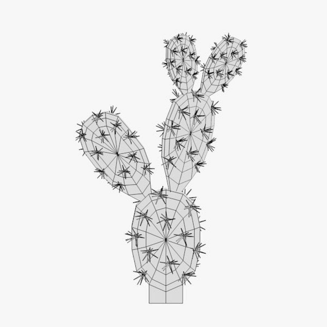 Cactus 3d Model