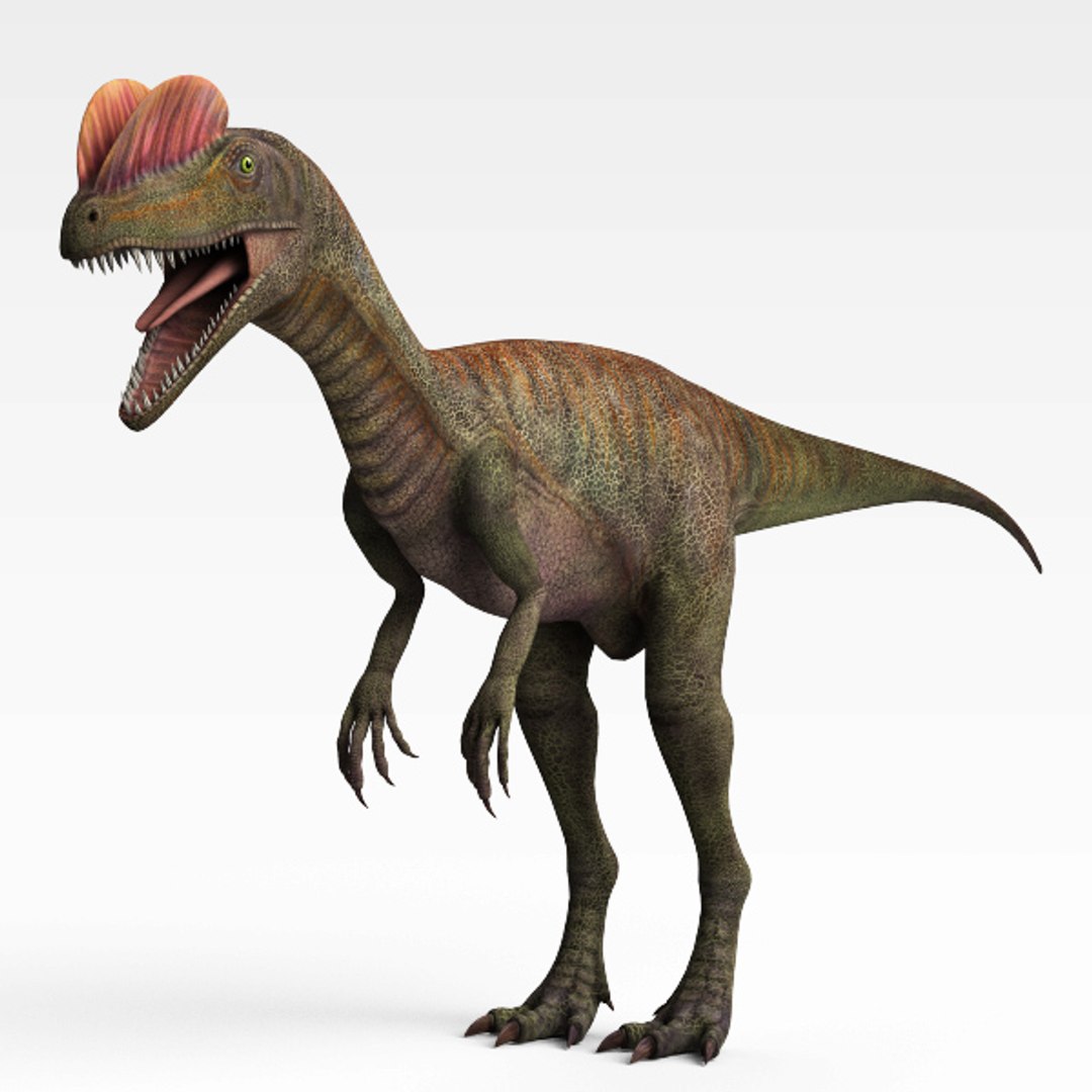 Dilophosaurus 3d Model