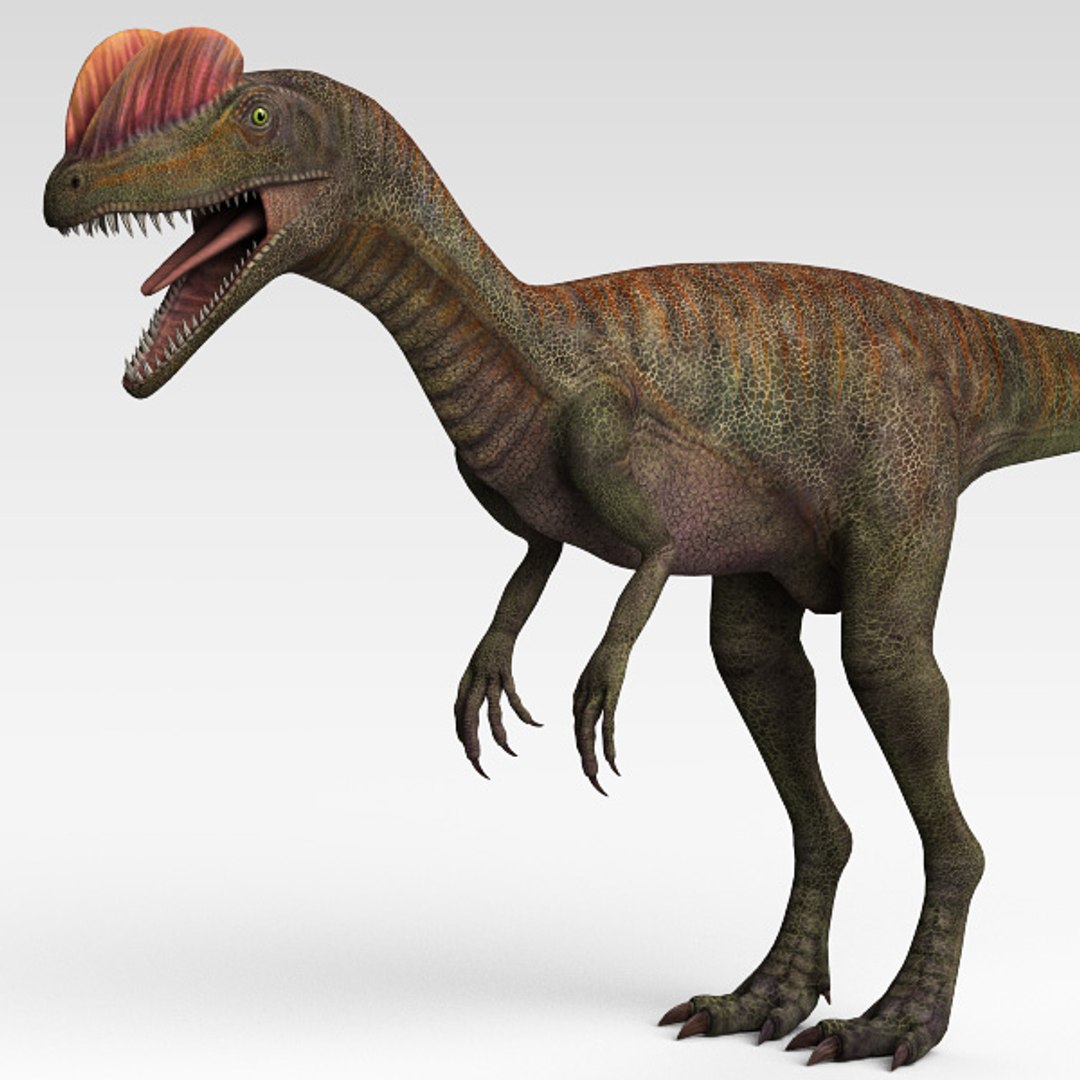 Dilophosaurus 3d Model